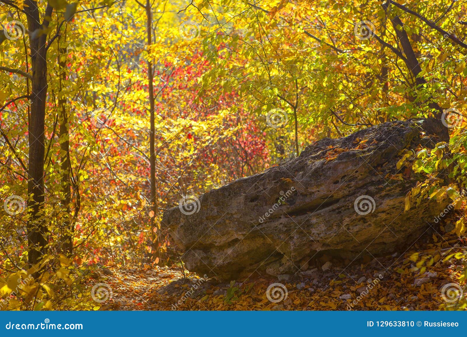 Big rock in the forest stock photo. Image of landscape - 129633810