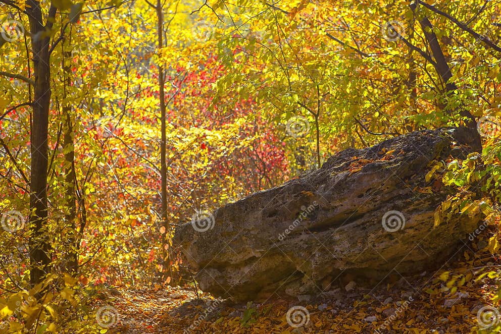 Big rock in the forest stock photo. Image of landscape - 129633810