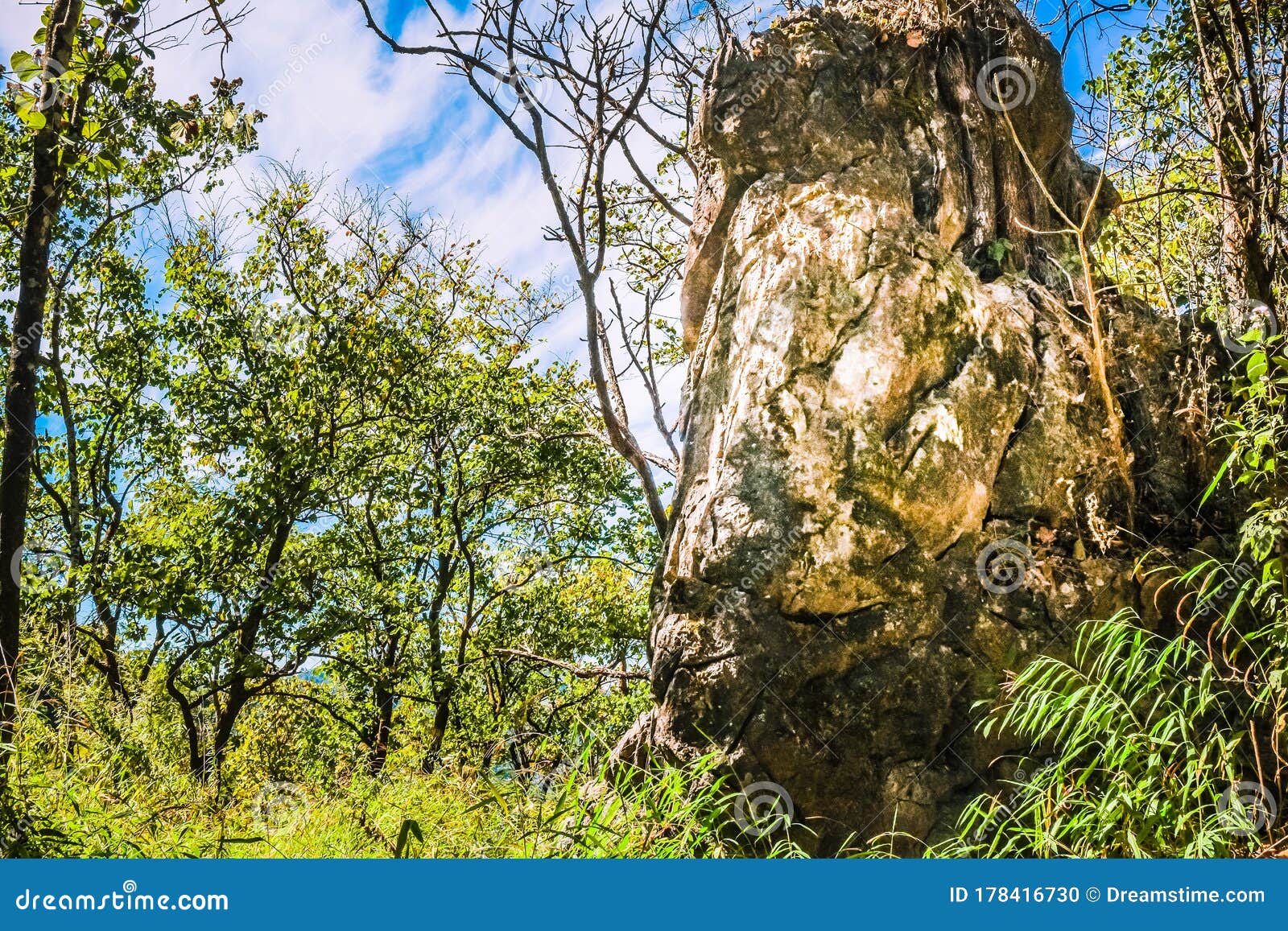 Big Rock in the Forest with Blue Sky Stock Photo - Image of adventure ...