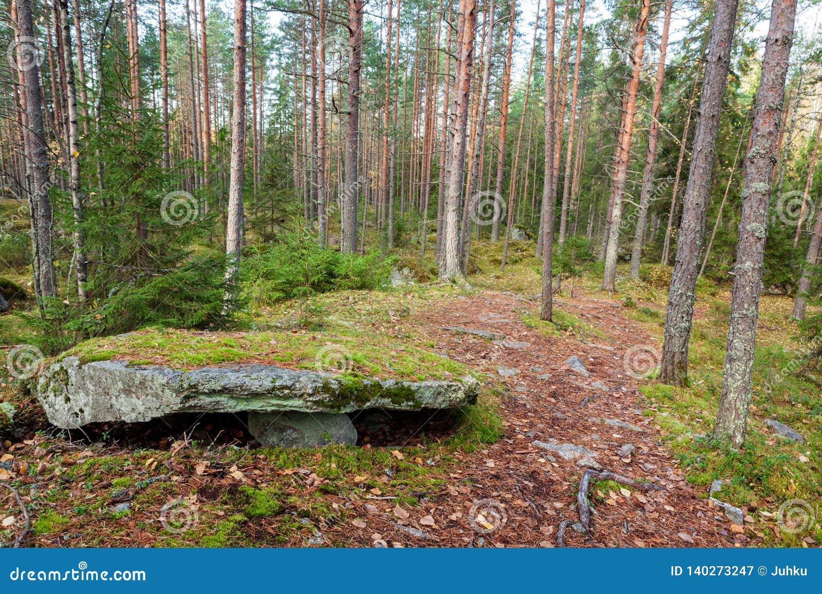 Big Rock in Forest Landscape Stock Image - Image of outdoor, boulder ...
