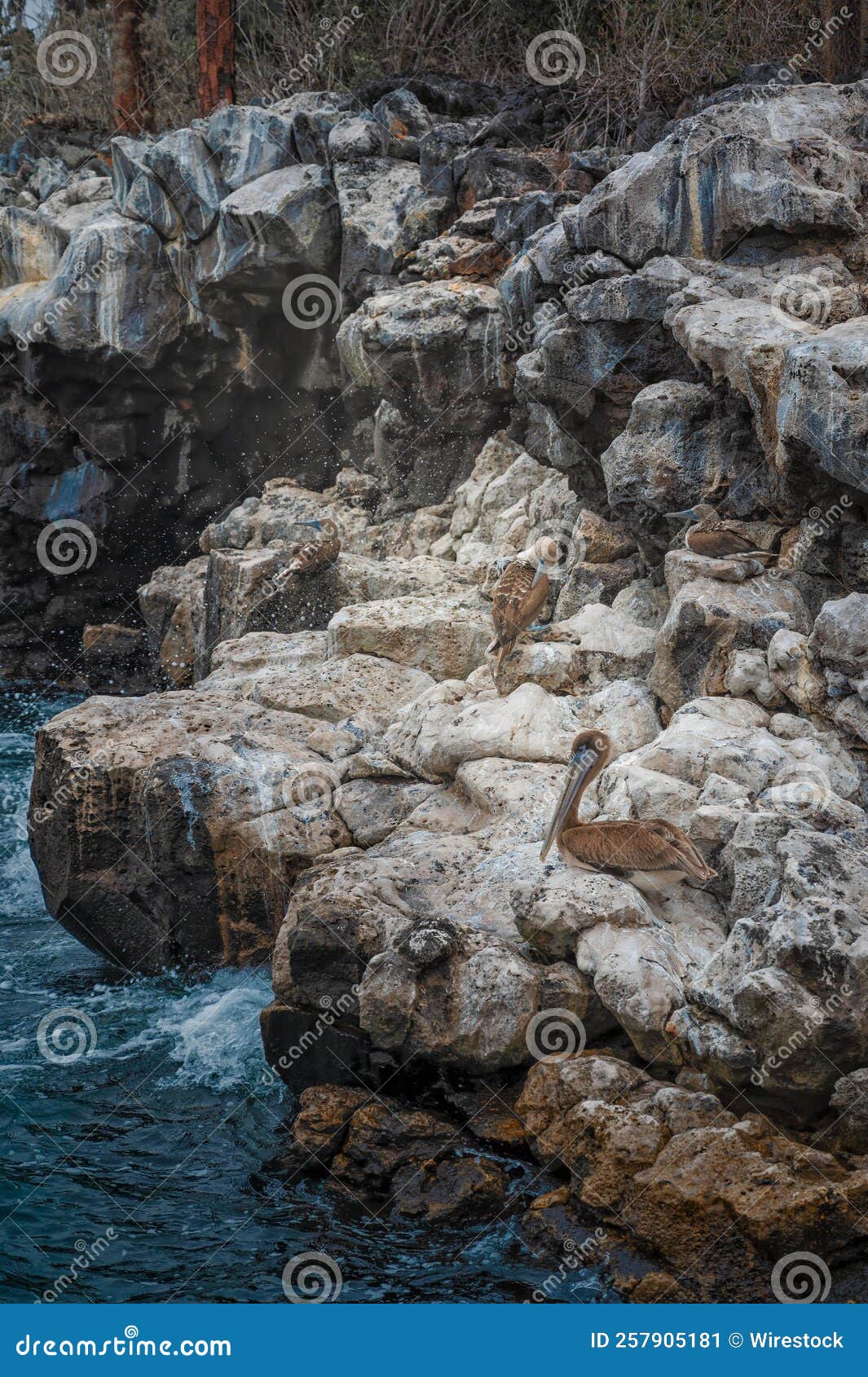 Big Rock Formations on the Coast of the Sea Stock Image - Image of ...