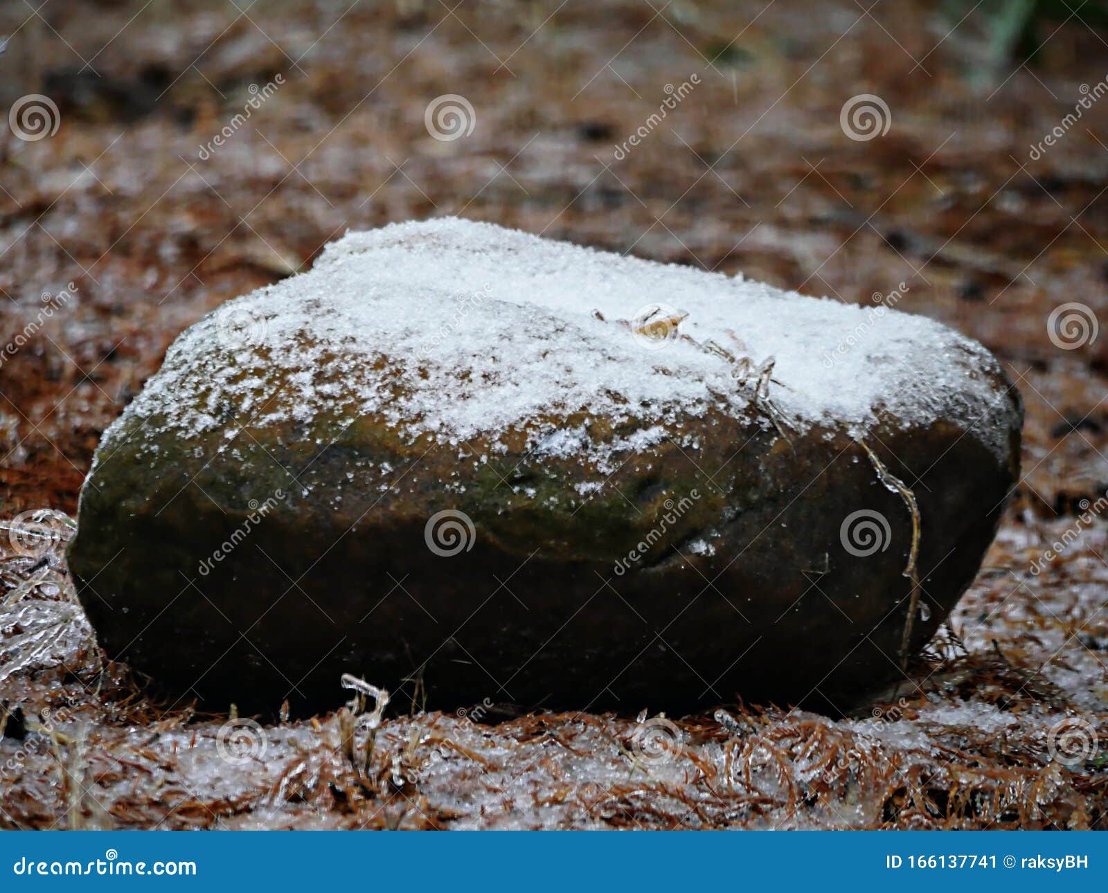 Rock in the Garden Partially Covered with Snow Dusting and Ice on the ...