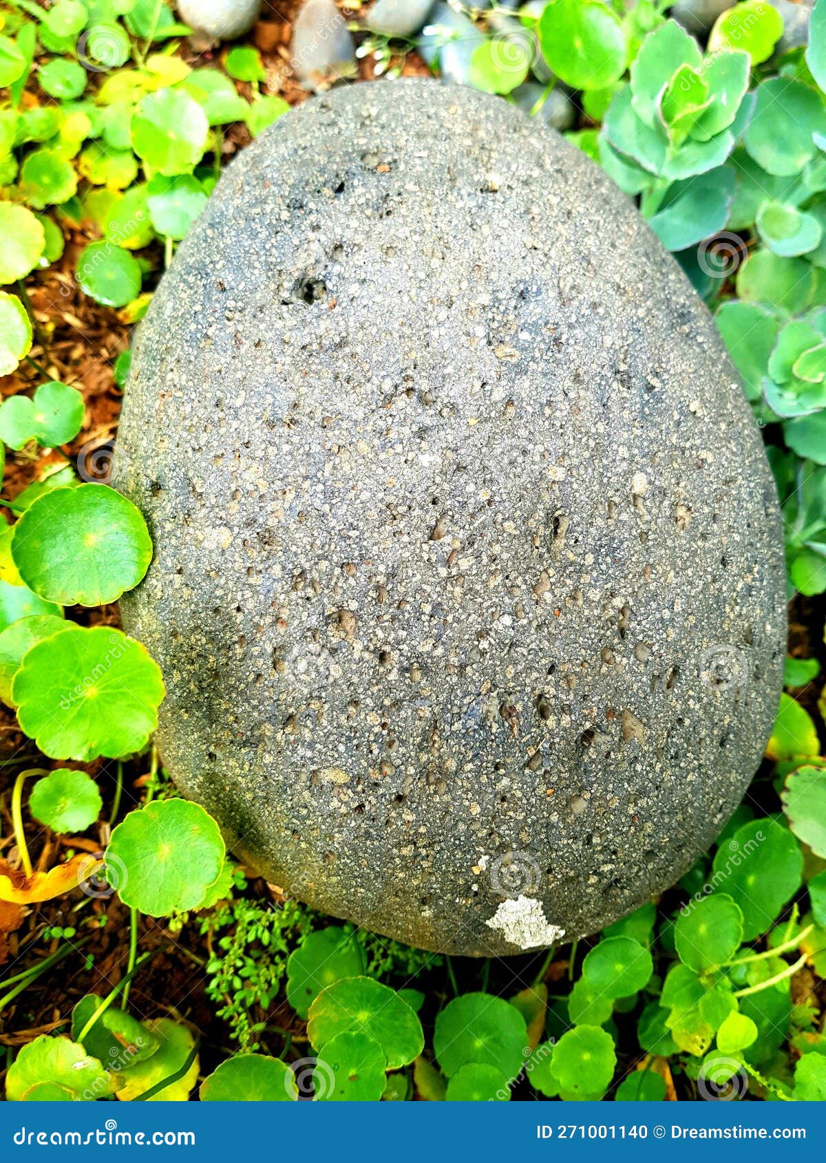 Big Rock on the grass stock photo. Image of wildlife - 271001140