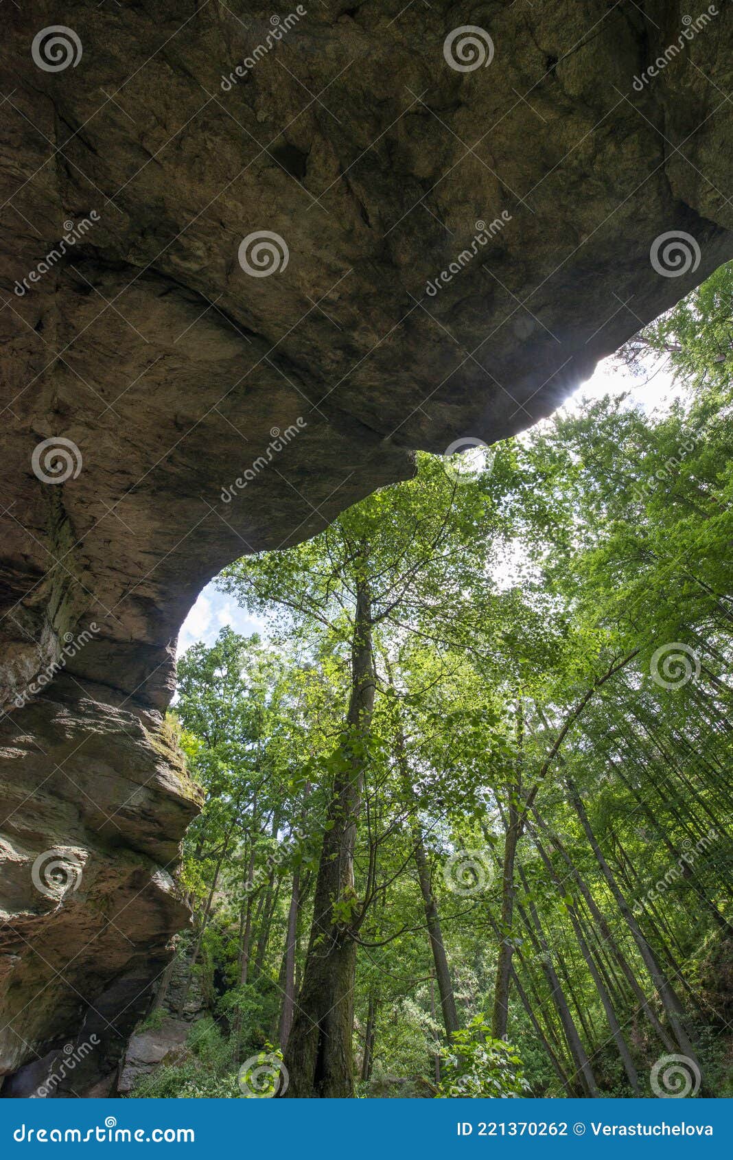 Big rock and green forest stock photo. Image of rural - 221370262