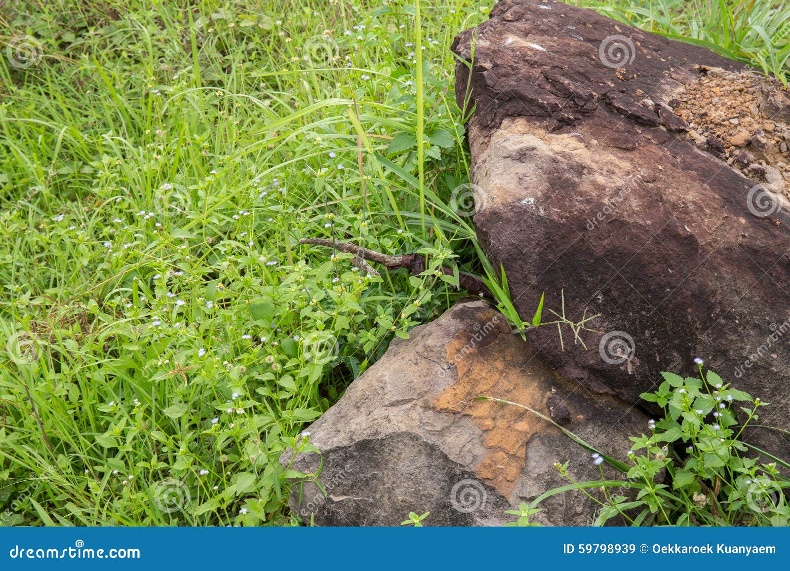 Big rock on green grass stock image. Image of rock, boulder - 59798939