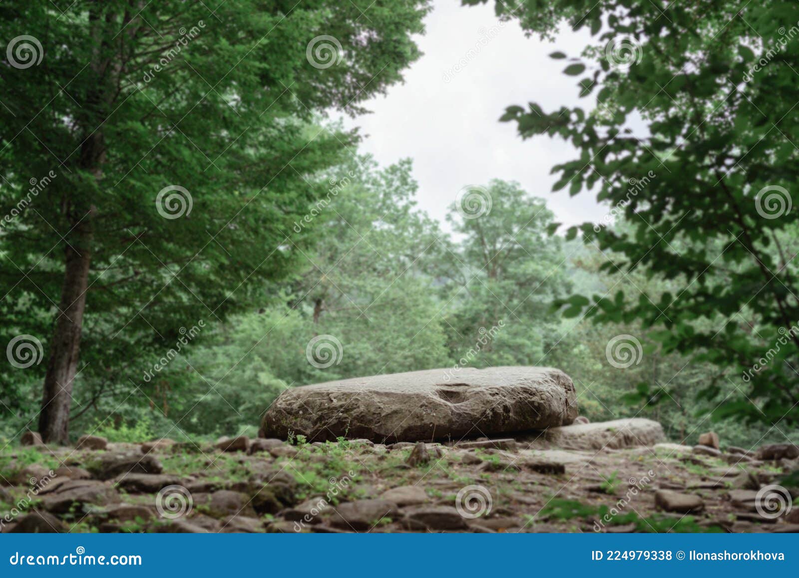 Big Rock for Meditation in a Green Forest Stock Photo - Image of forest ...