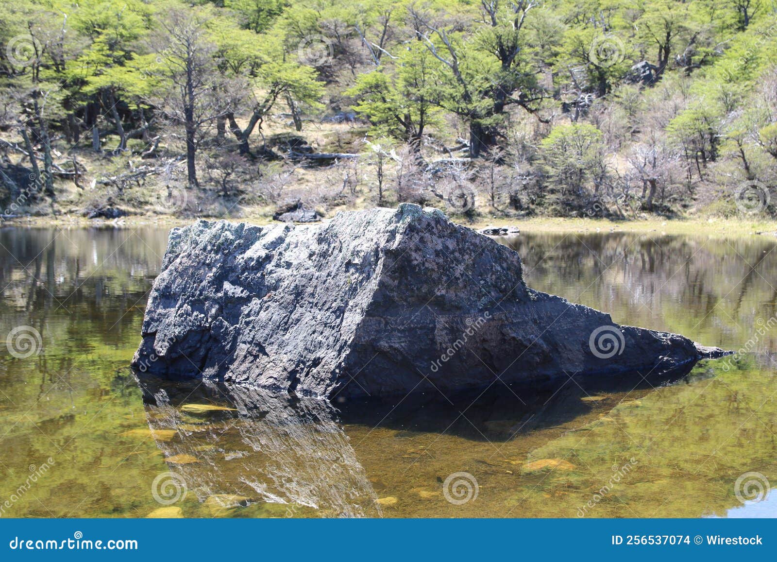 Big Rock in the Middle of the Lake Stock Photo - Image of lake, park ...