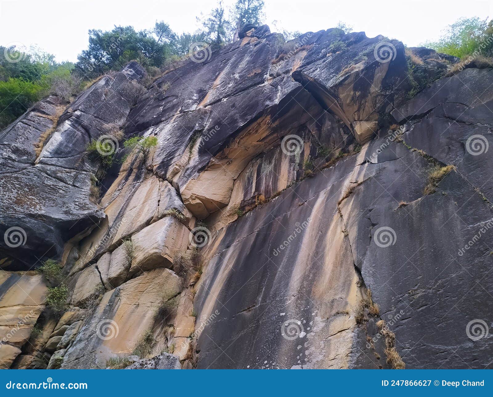 Big Rock in the Mountains with Green Trees Stock Image - Image of ...