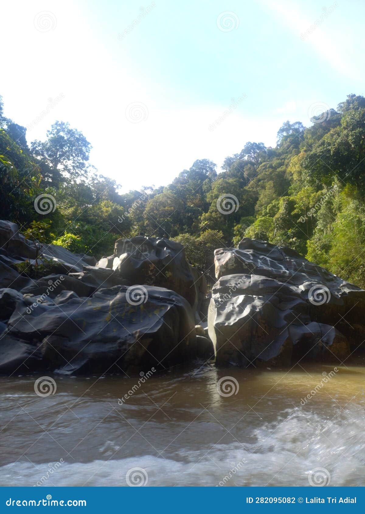 A Big Rock in the River of Borneo Rainforest Stock Photo - Image of ...