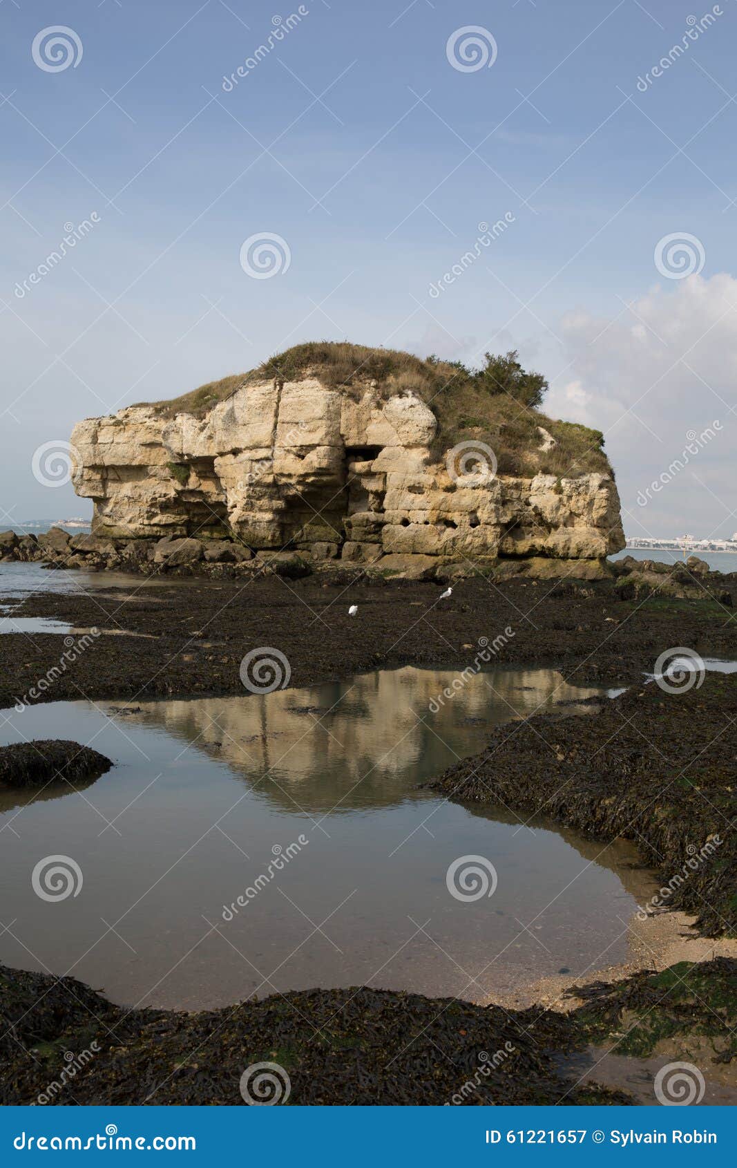 Big rock in the sea stock image. Image of cloud, view - 61221657