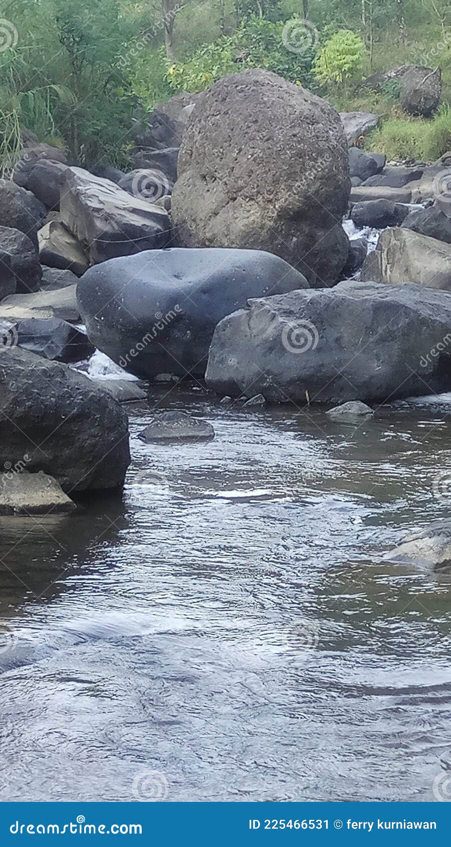Big rock in small river stock image. Image of terrain - 225466531