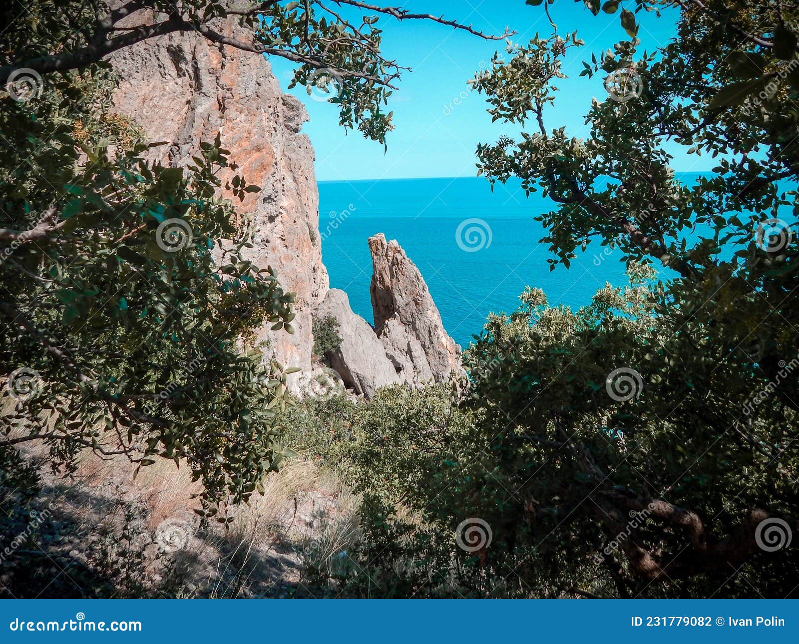 Big rock through the trees stock photo. Image of rock - 231779082
