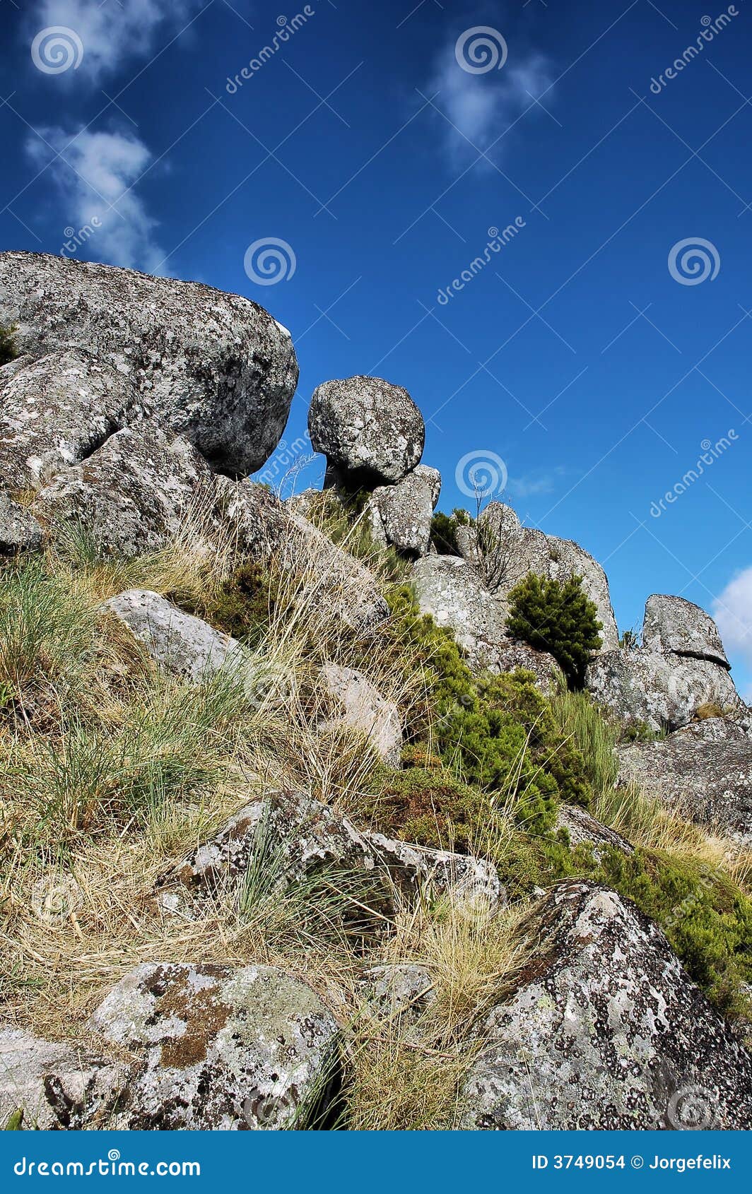 Big rocks stock photo. Image of geological, detail, vegetation - 3749054