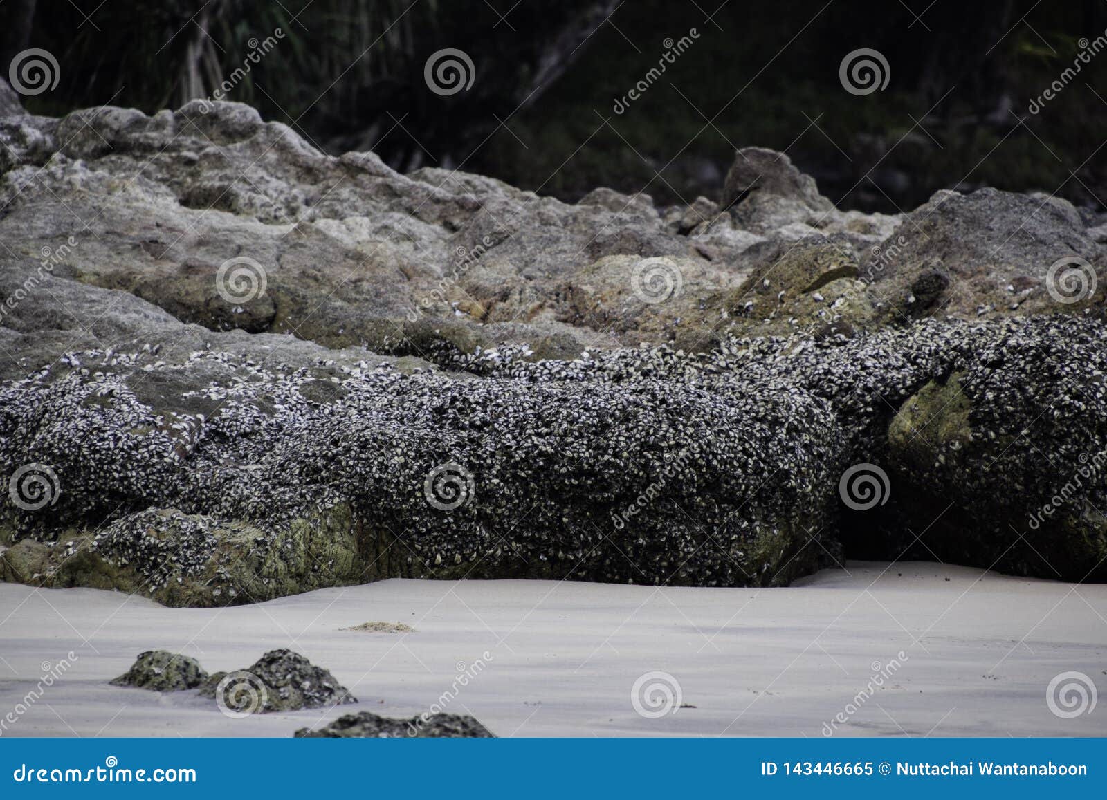 Big Rocks on the Beach at Koh Phayam, Thailand Stock Image - Image of ...