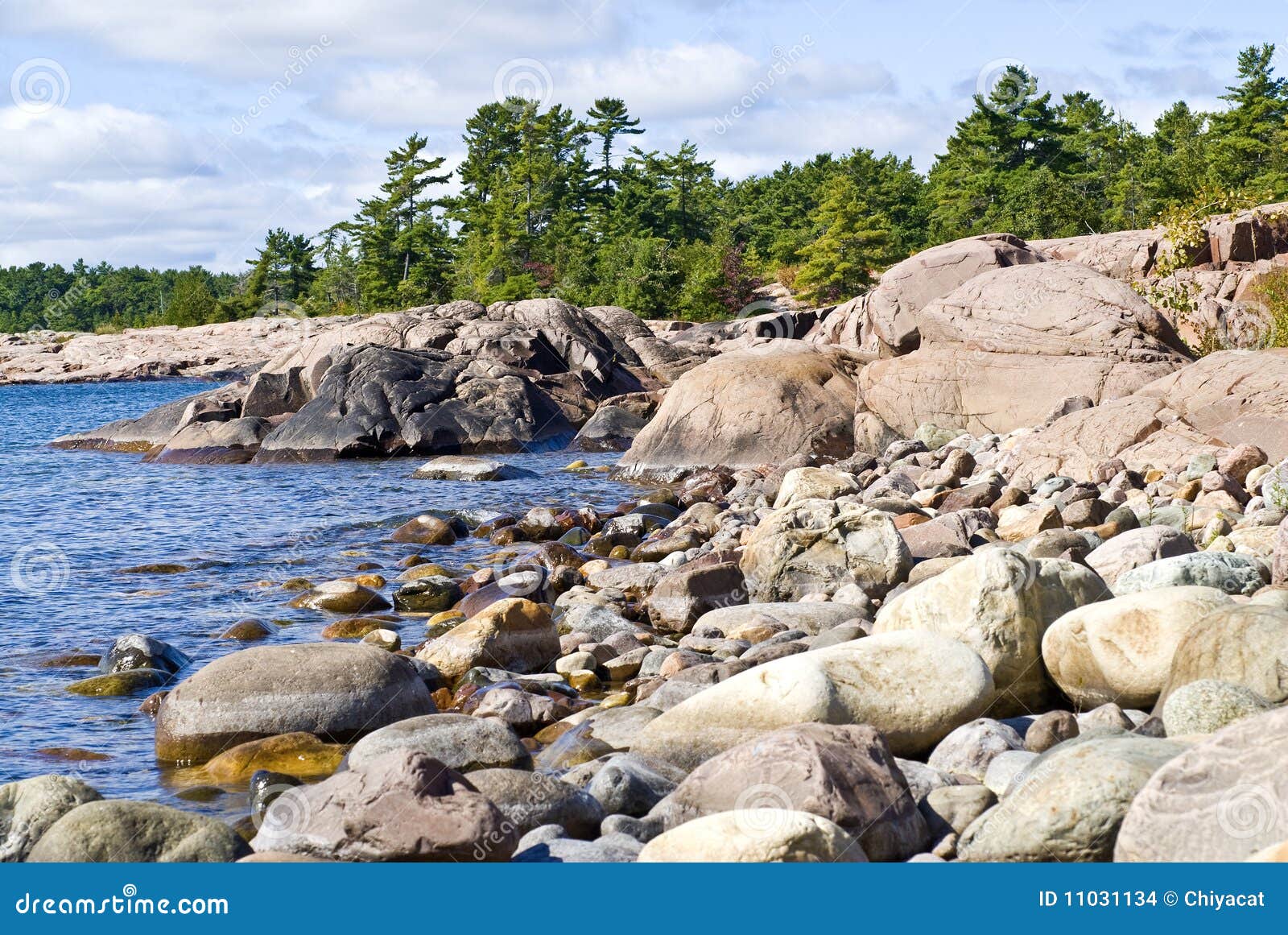 Big Rocks and Evergreen Trees Stock Photo - Image of geological, park ...