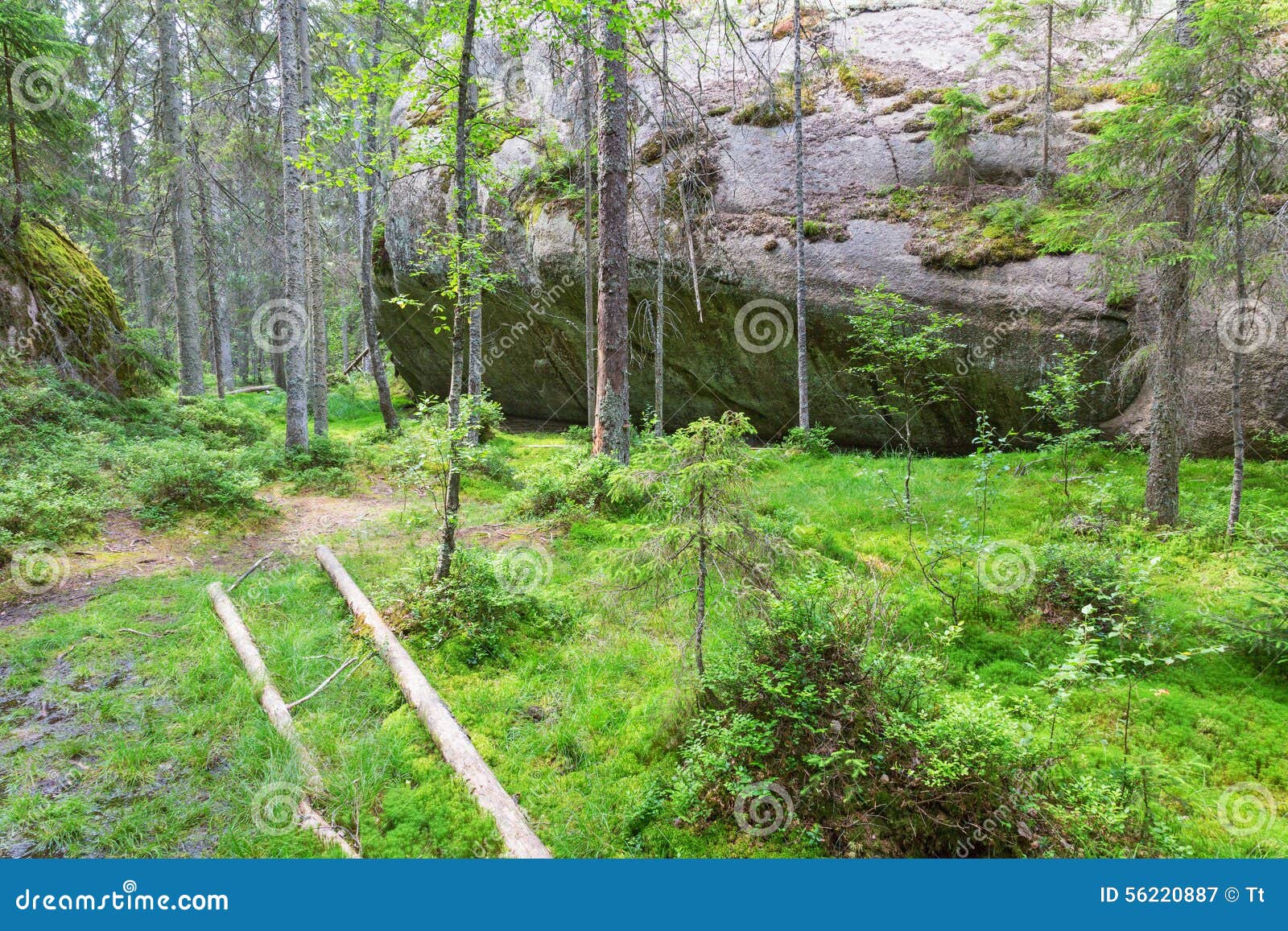 Big rocks in the forest stock image. Image of blocks - 56220887