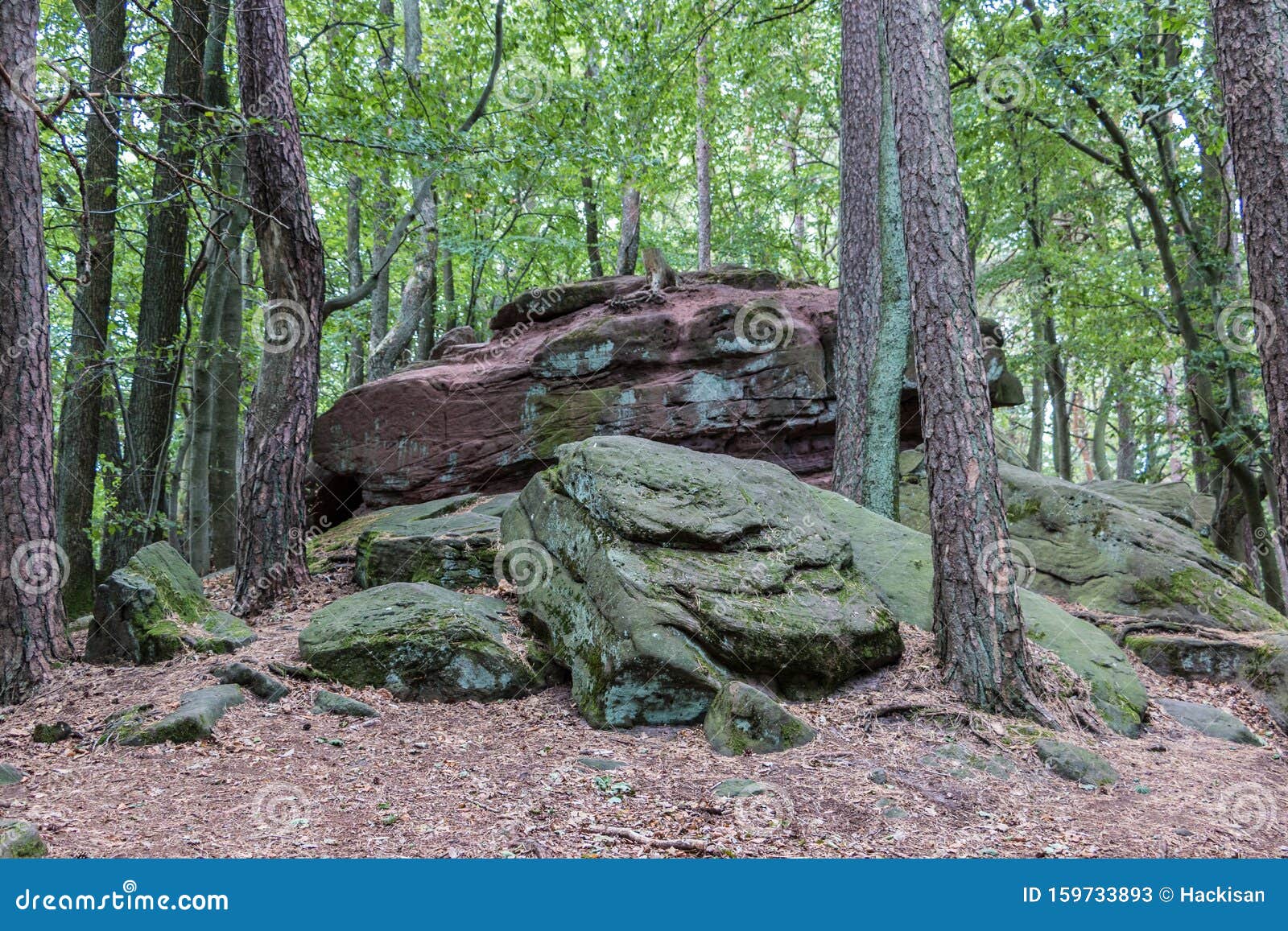 Big Rocks in the Middle of the Green Forest Stock Image - Image of ...