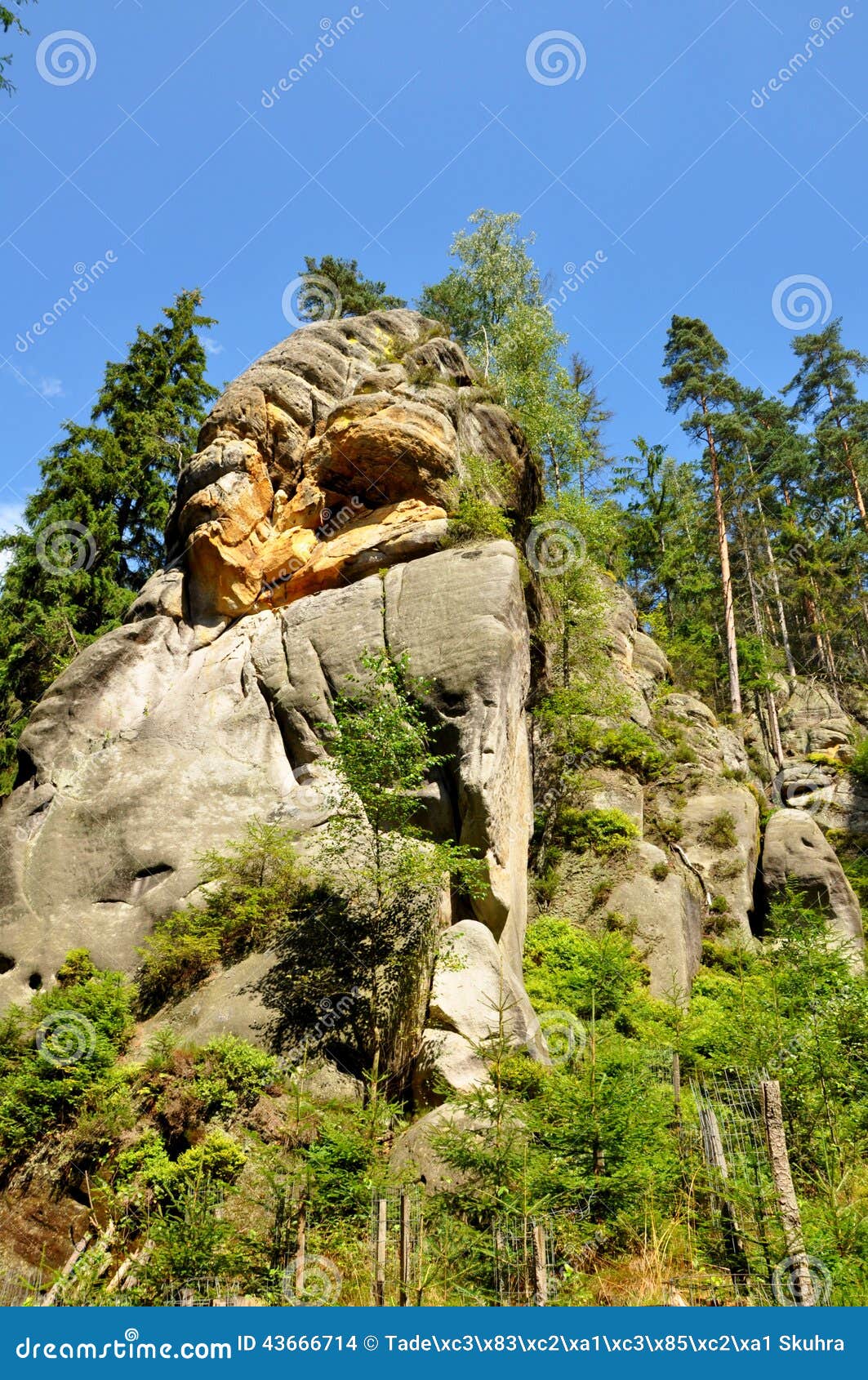 Big rocks panorama stock photo. Image of trees, nature - 43666714