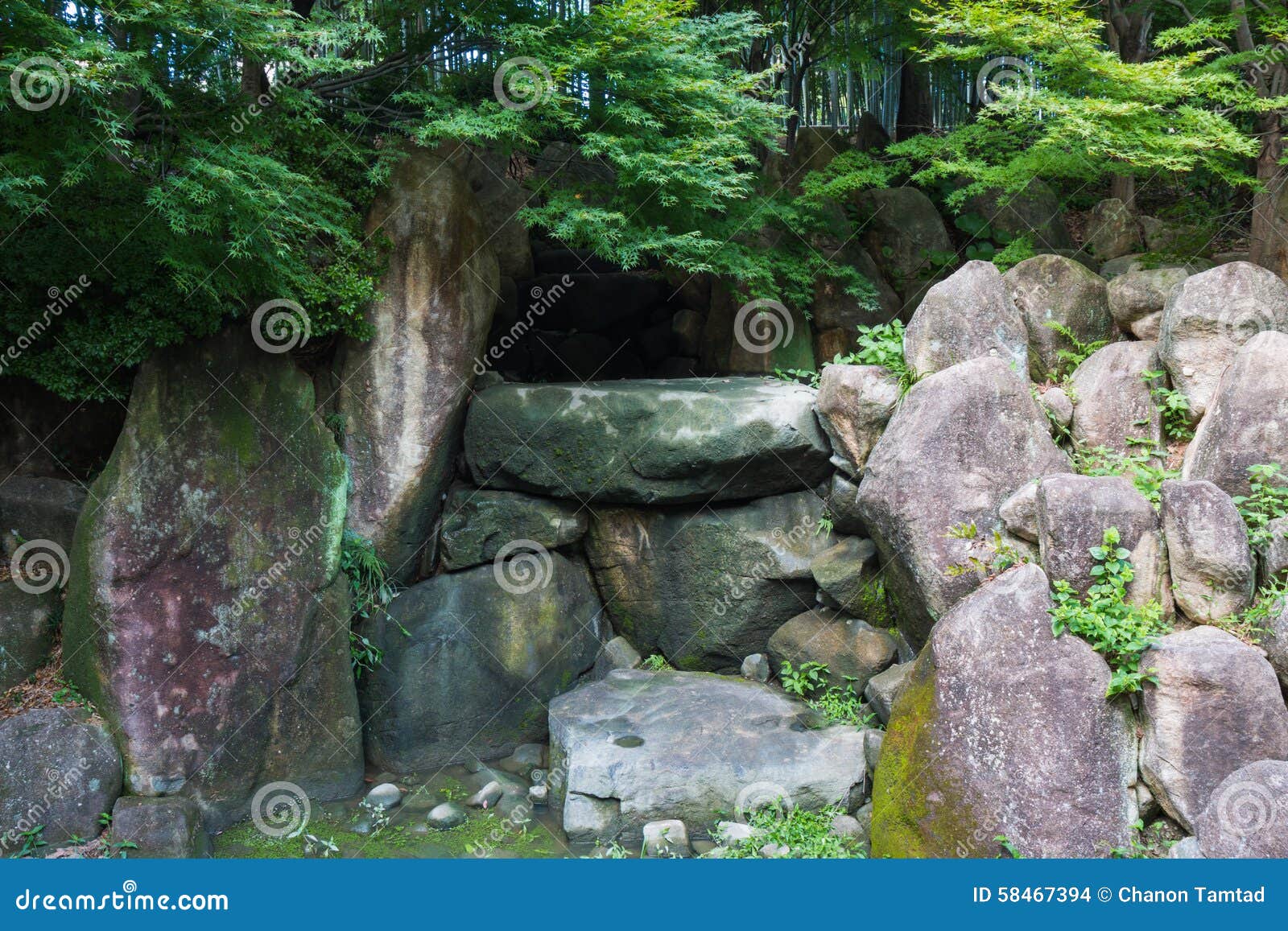 Big Rocks Under Trees in Wild. Stock Photo - Image of evening, creek ...