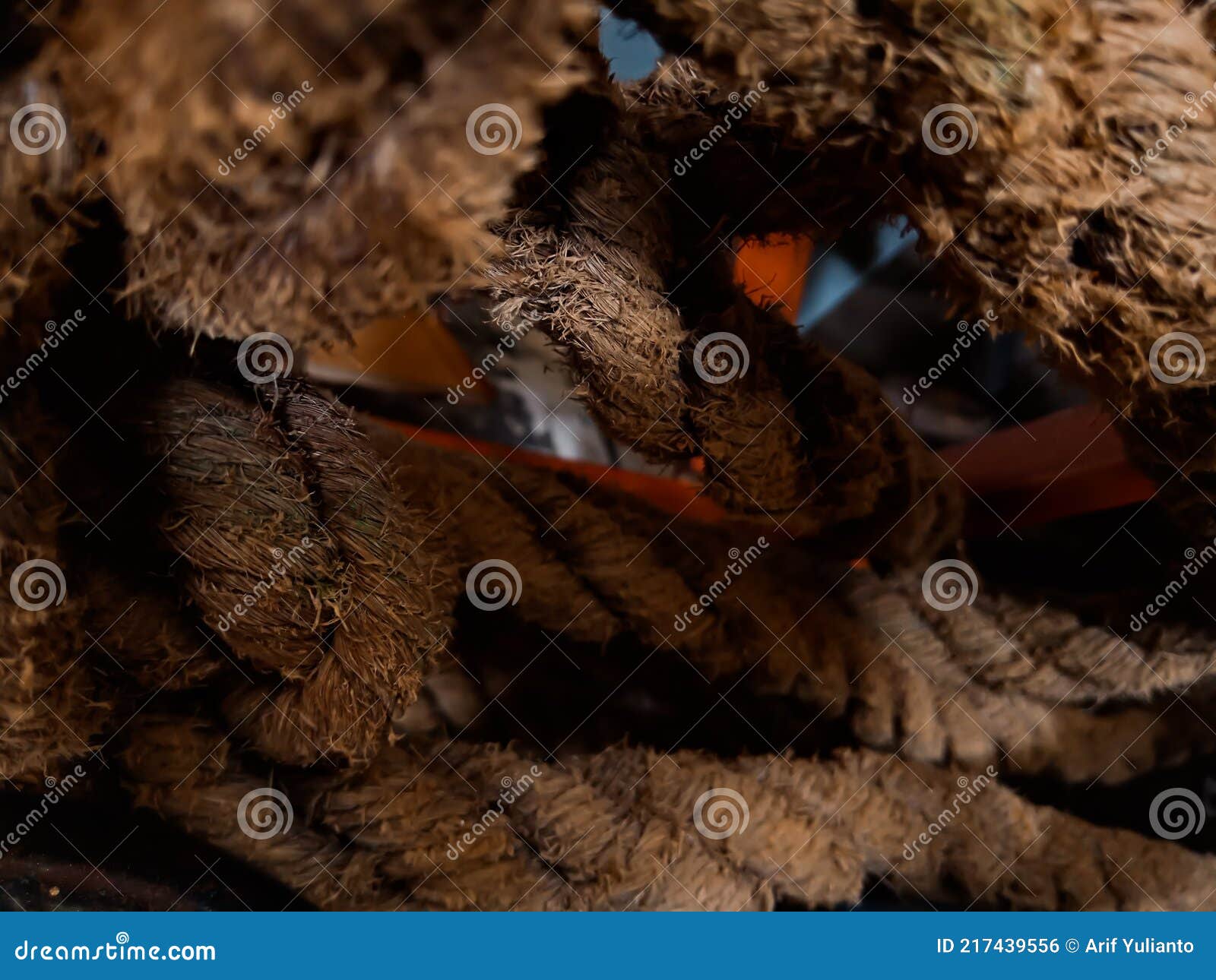 Detail Of Skin Under The Microscope. Royalty-Free Stock Photo ...