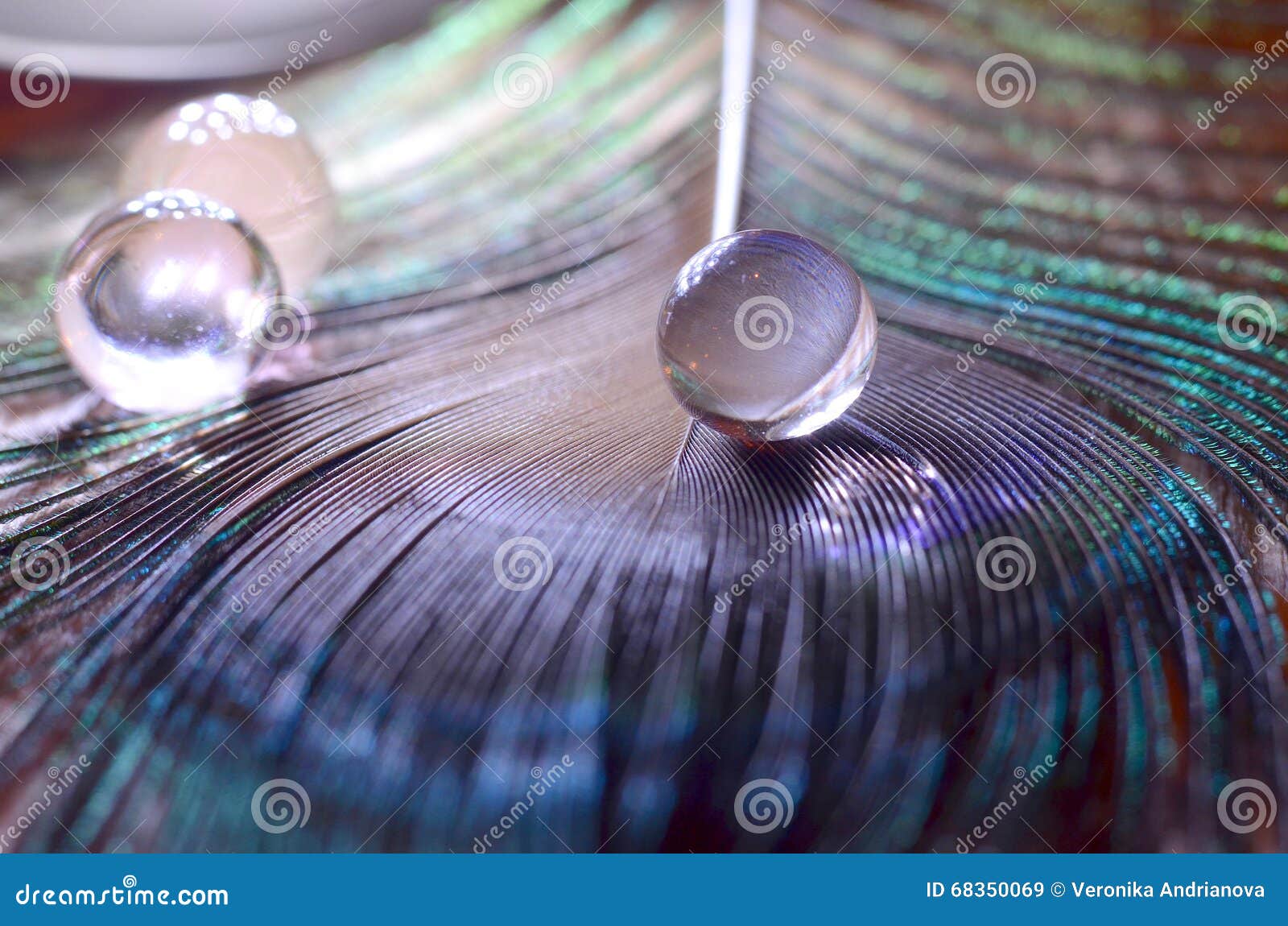 Big round drop on feather stock image. Image of peacock - 68350069
