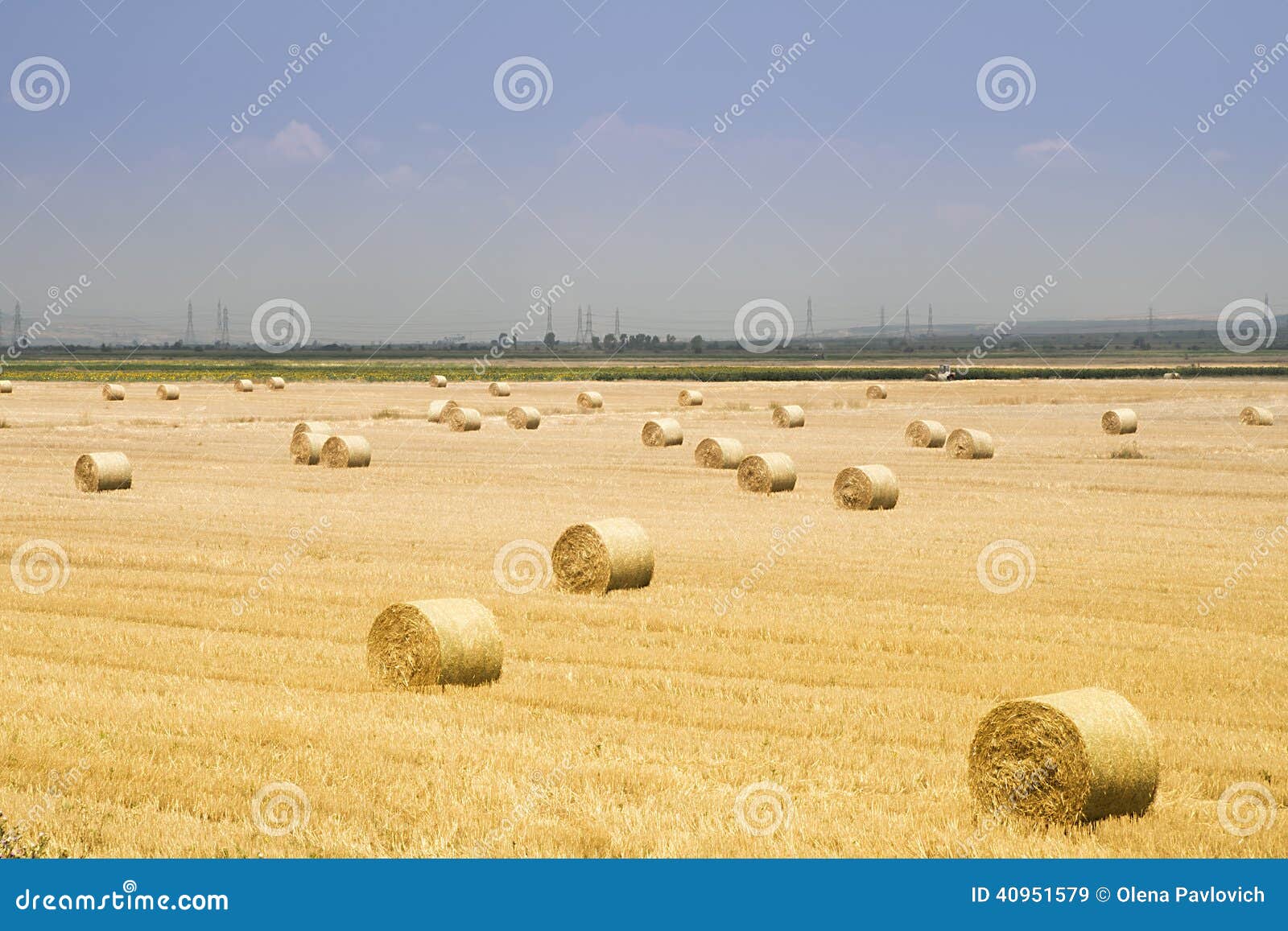 Big Round Haystacks of Straw in the Meadow Stock Image - Image of ...