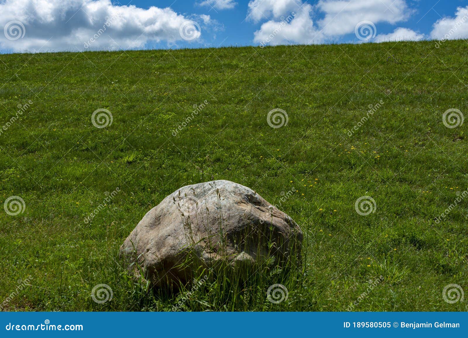 Big Round Stone on Green Grass Stock Image - Image of lawn, field ...