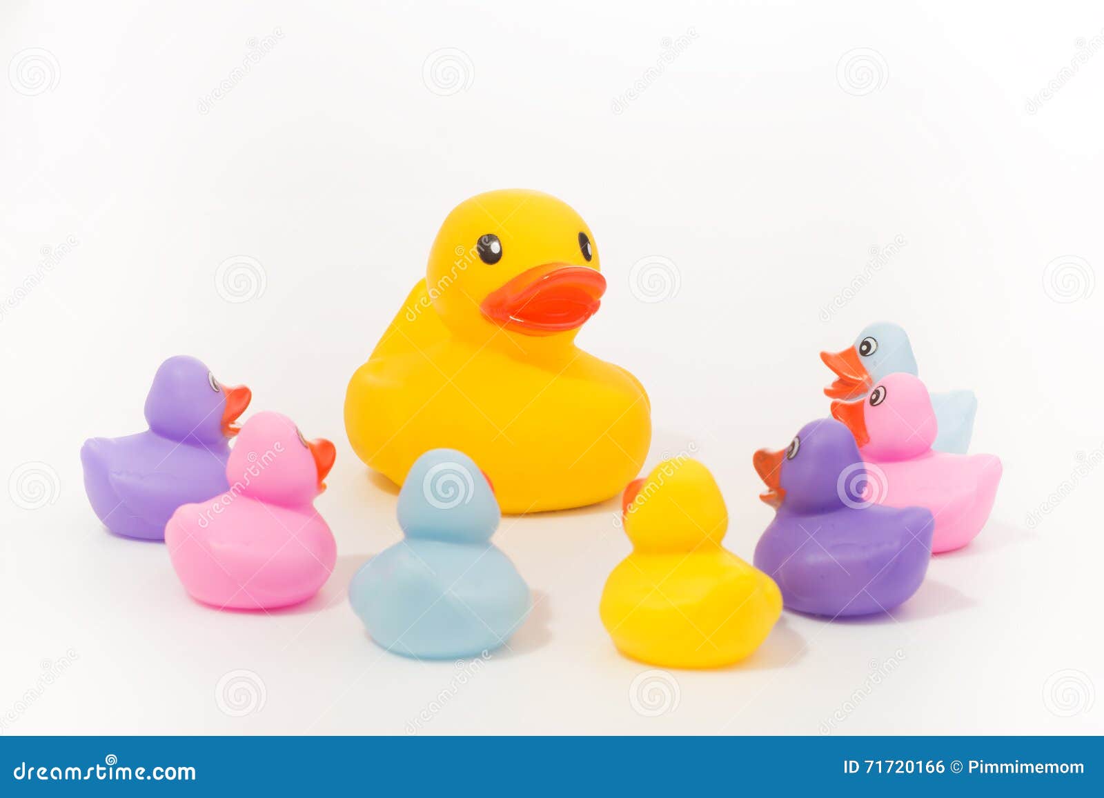 Big Rubber Duck Speaking Front Group Little Rubber Ducklings Stock ...