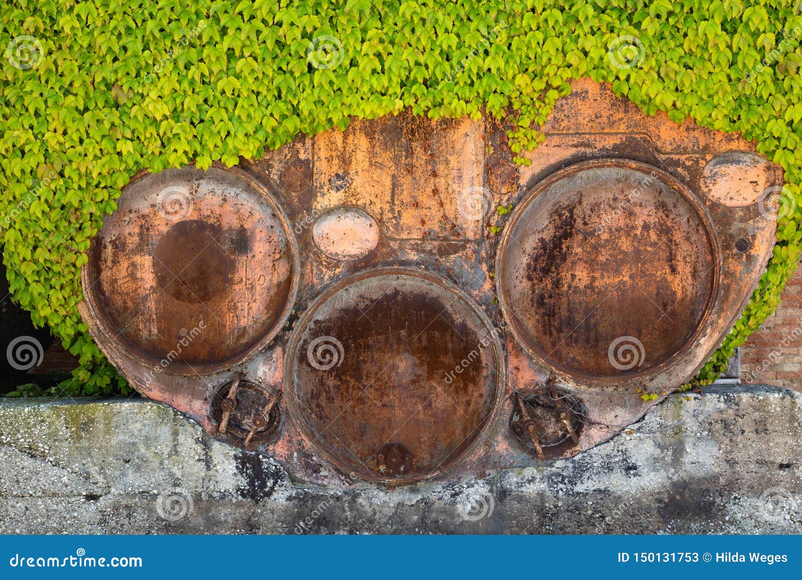 Big rusted barrel stock image. Image of overgrown, leaves - 150131753