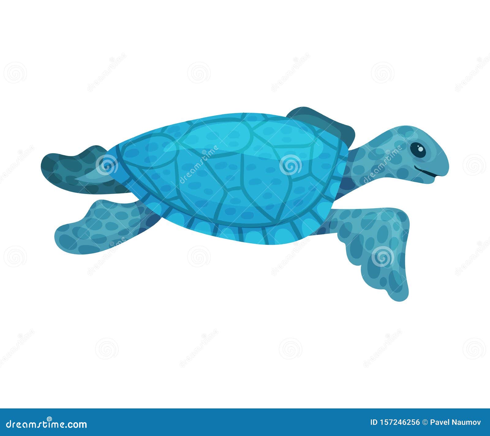 Blue Turtle. Vector Illustration on a White Background Stock Vector ...