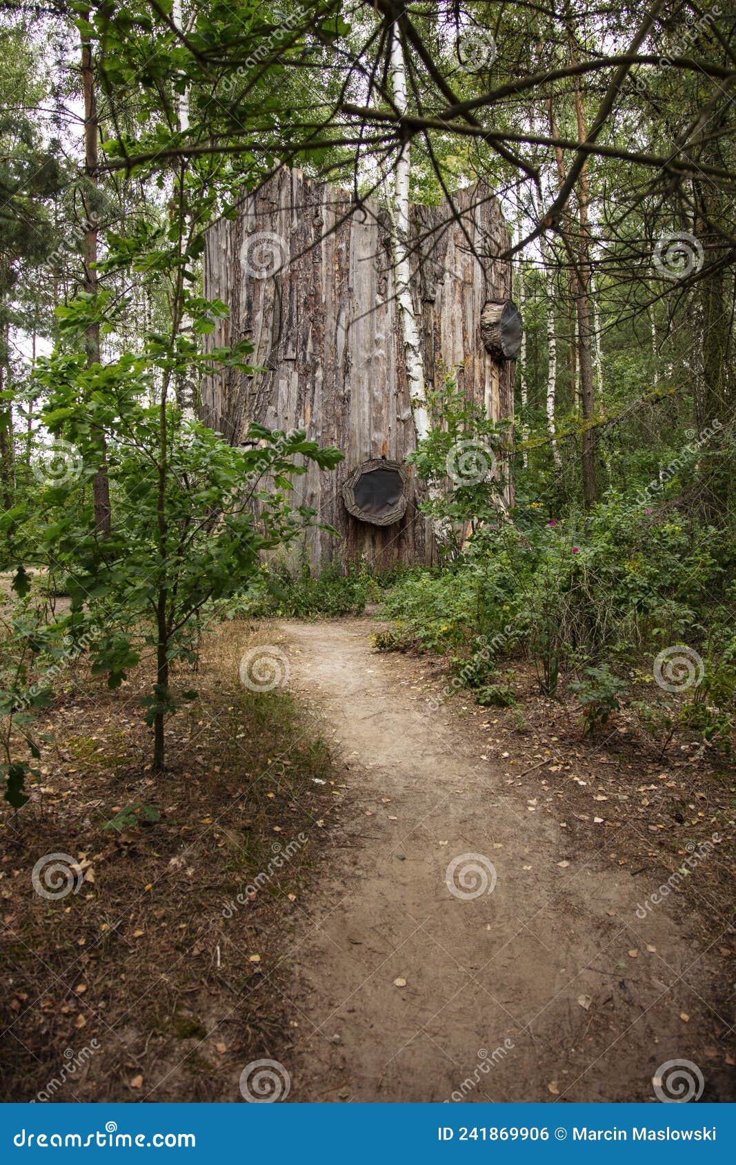 Big Secret Tree in the Middle of the Forest Stock Photo - Image of path ...