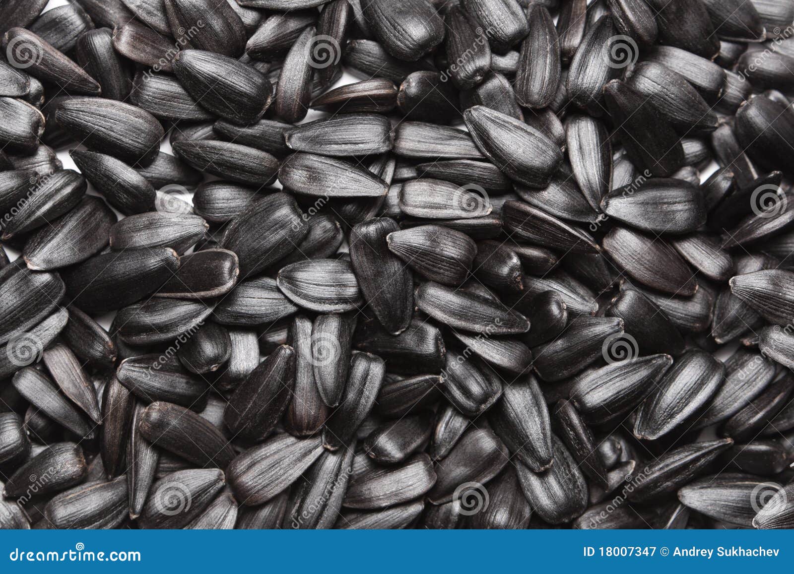 Big seeds stock image. Image of hulls, food, seed, black - 18007347