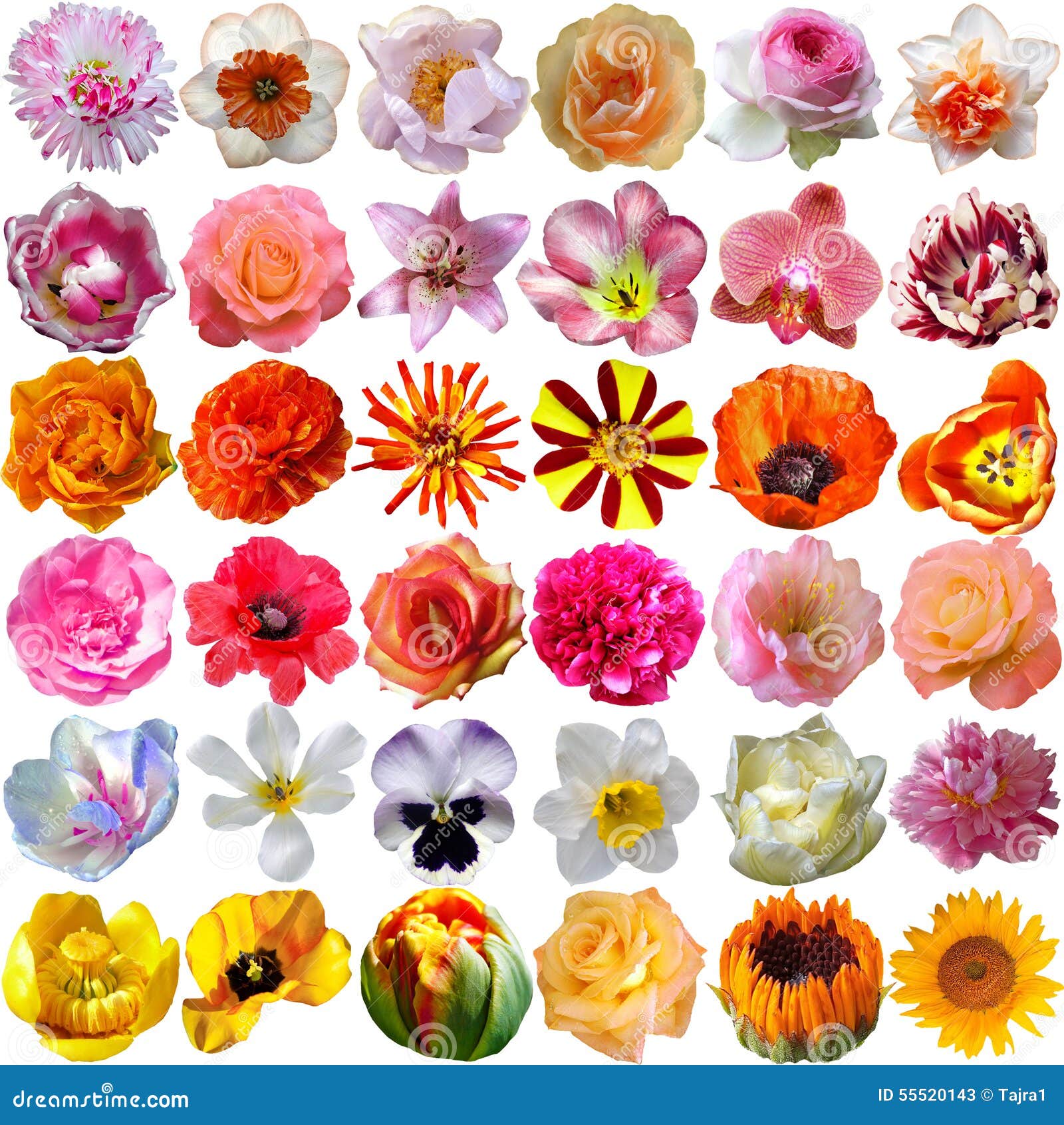 Various Flowers, Orange Leaf, Stone Slab, Bowl Of Flowers, Pumice Stone ...