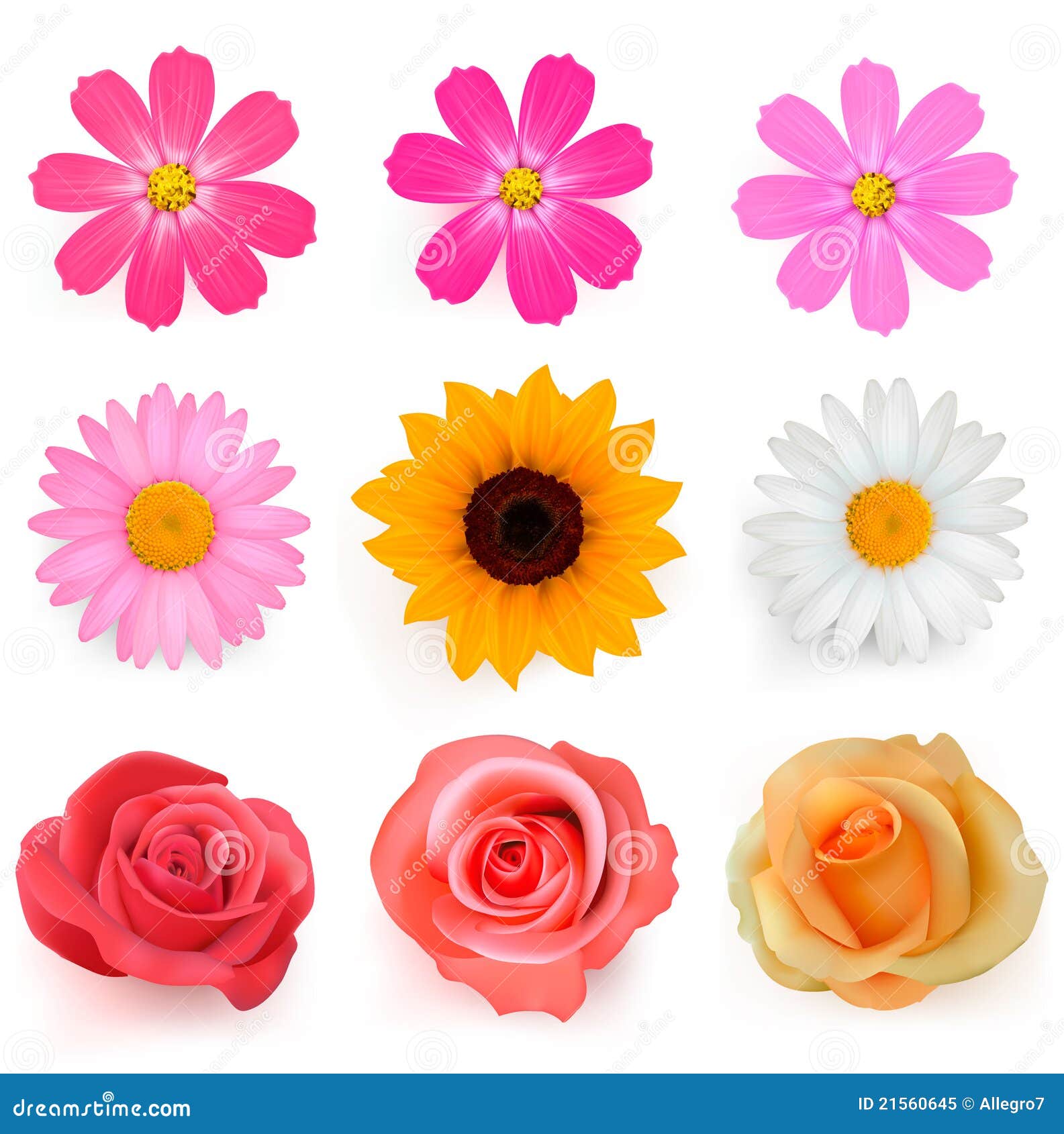 Big Set of Beautiful Colorful Flowers. Stock Vector - Illustration of ...
