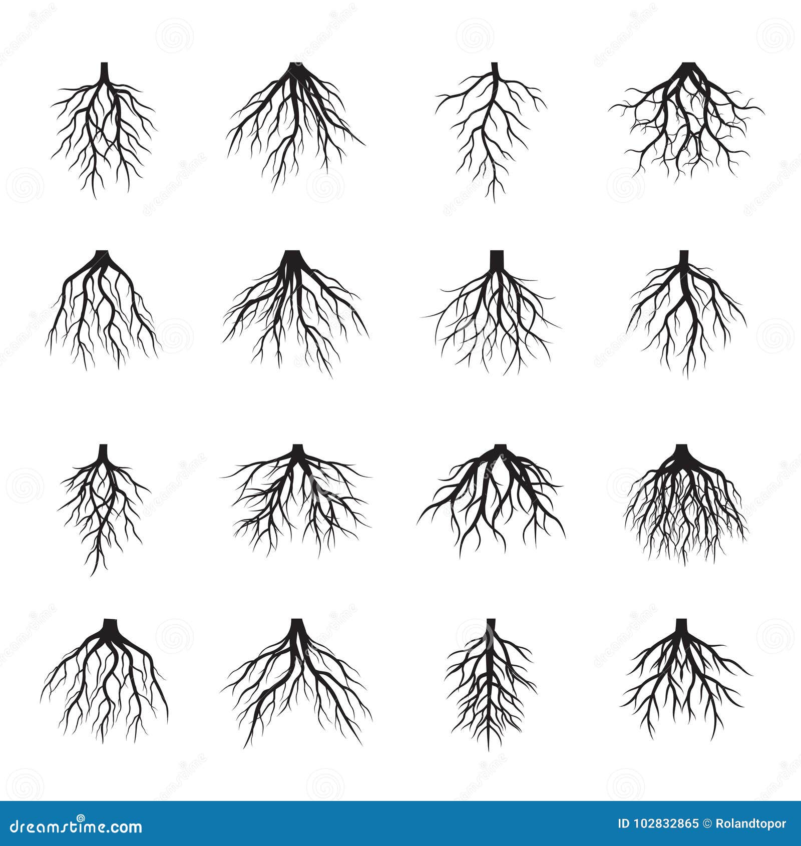 Big Set of Black Roots Tree. Vector Illustration. Stock Vector ...