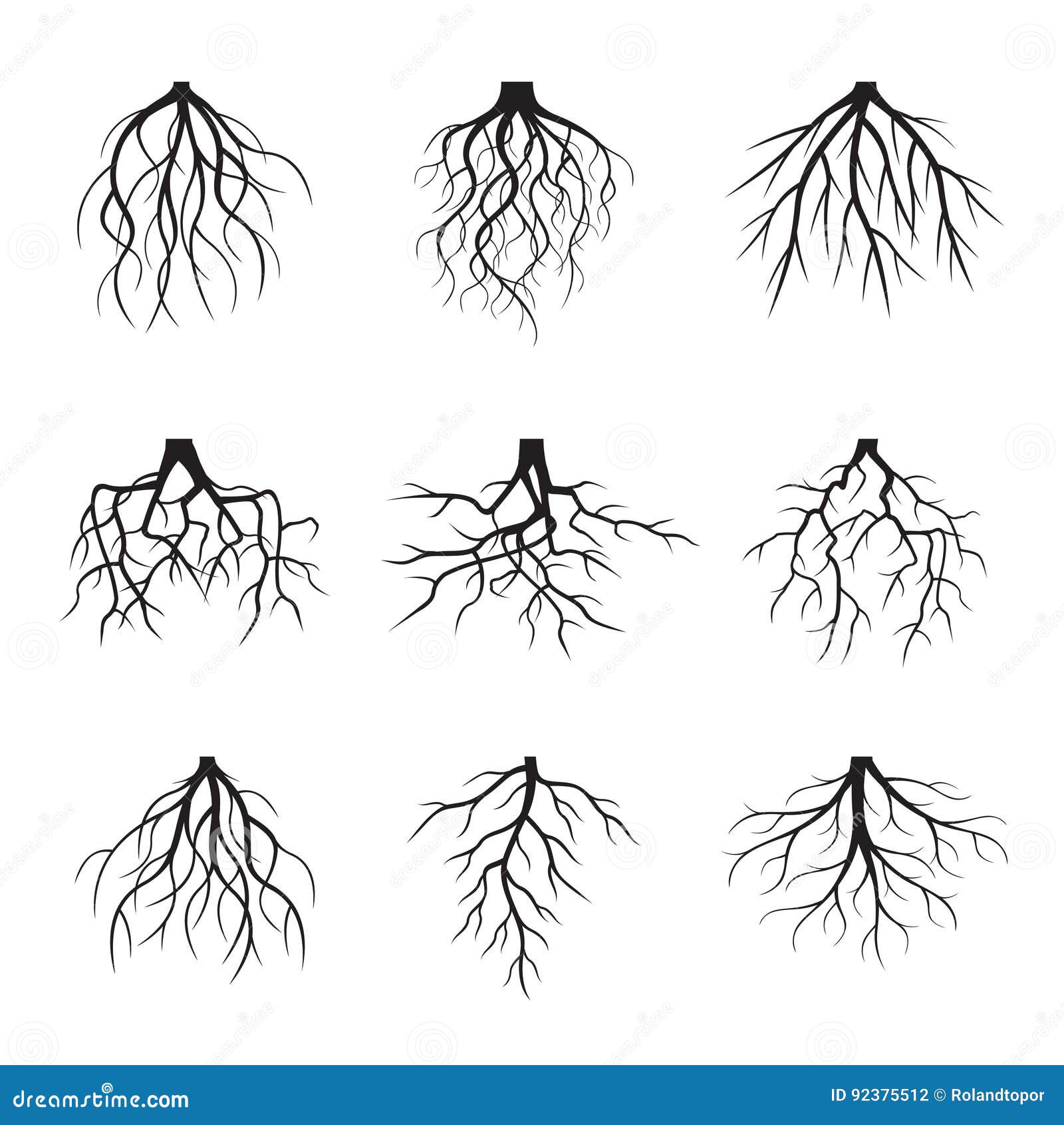 Big set of black roots. stock illustration. Illustration of branch ...