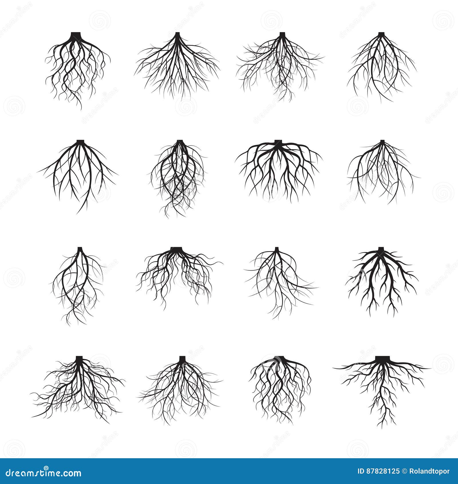 Big Set of Black Roots. Vector Illustration. Stock Vector ...