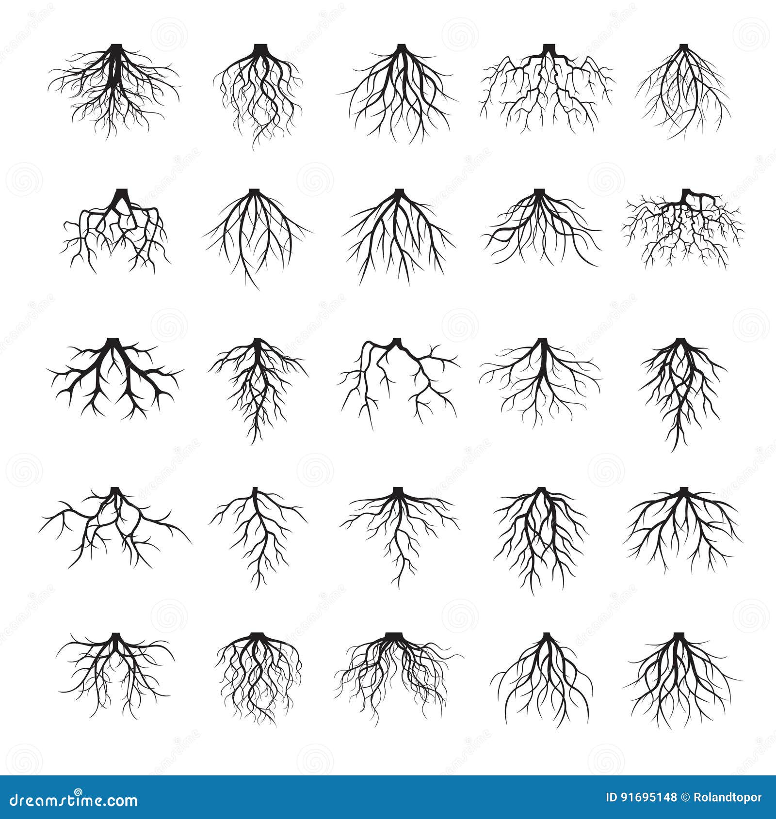 Big Set of Black Roots. Vector Illustration. Stock Illustration ...