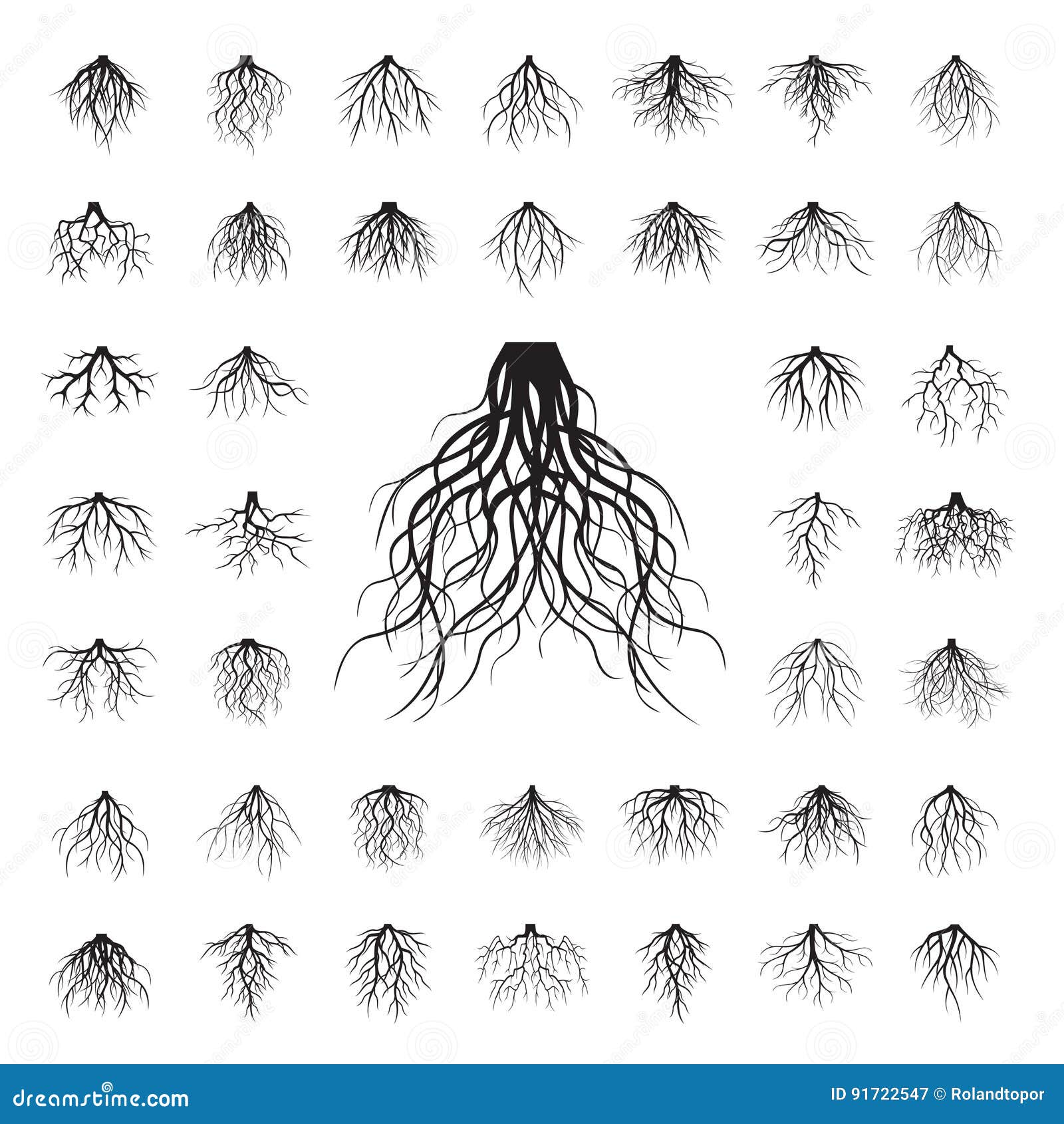 Big Set of Black Roots. Vector Illustration. Stock Illustration ...