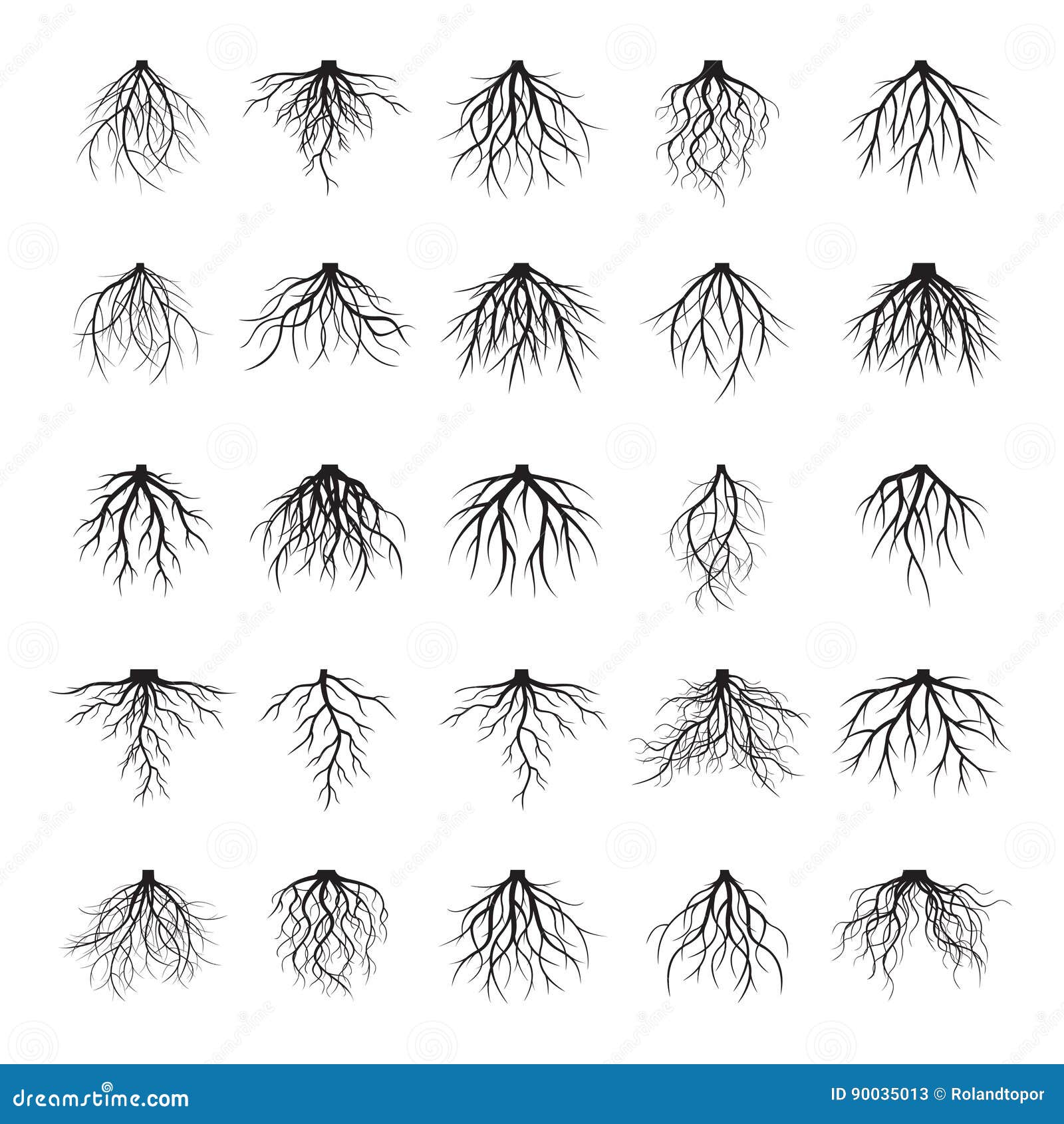 Big Set of Black Roots. Vector Illustration. Stock Illustration ...