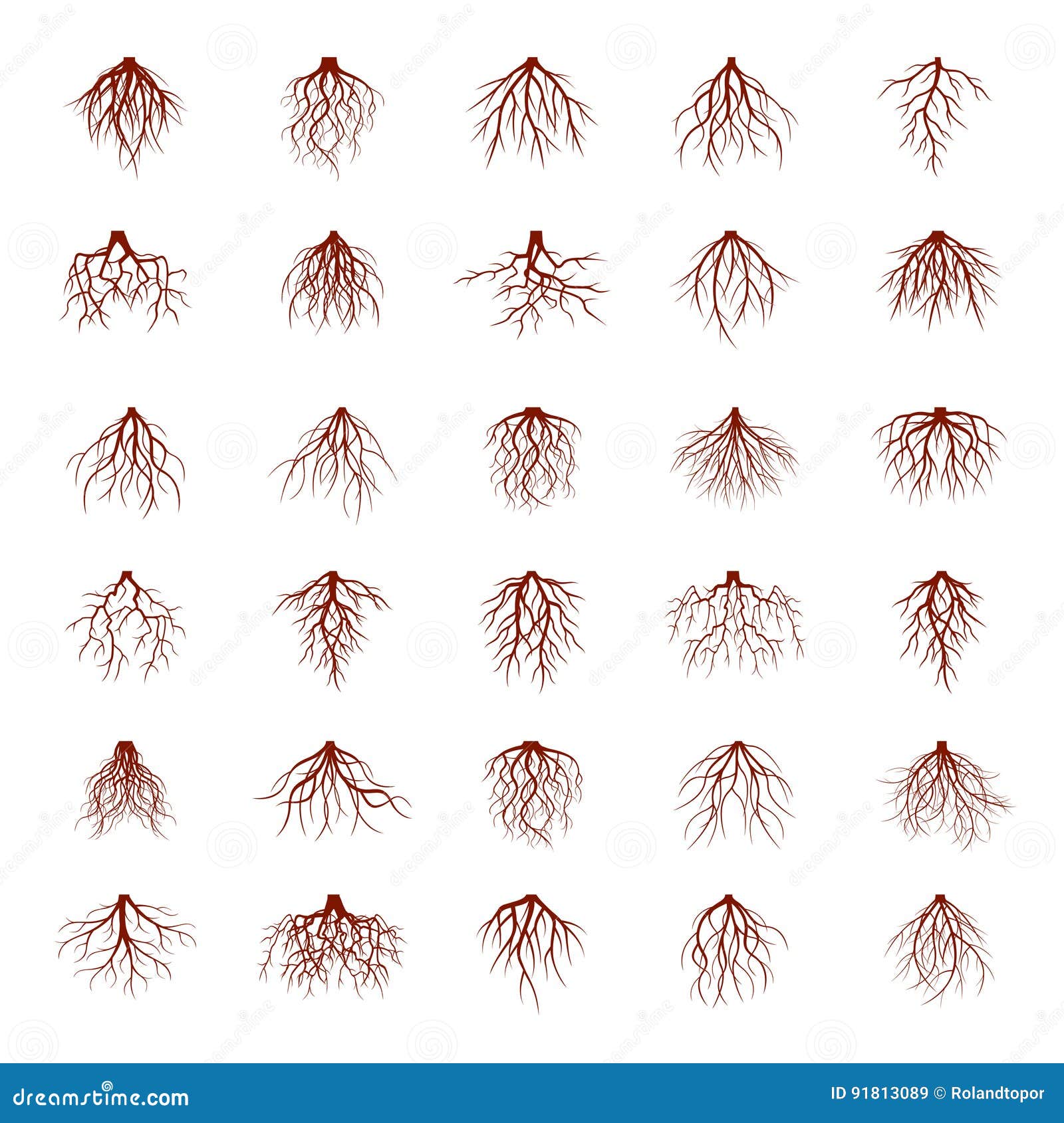 Big set of brown roots. stock vector. Illustration of design - 91813089