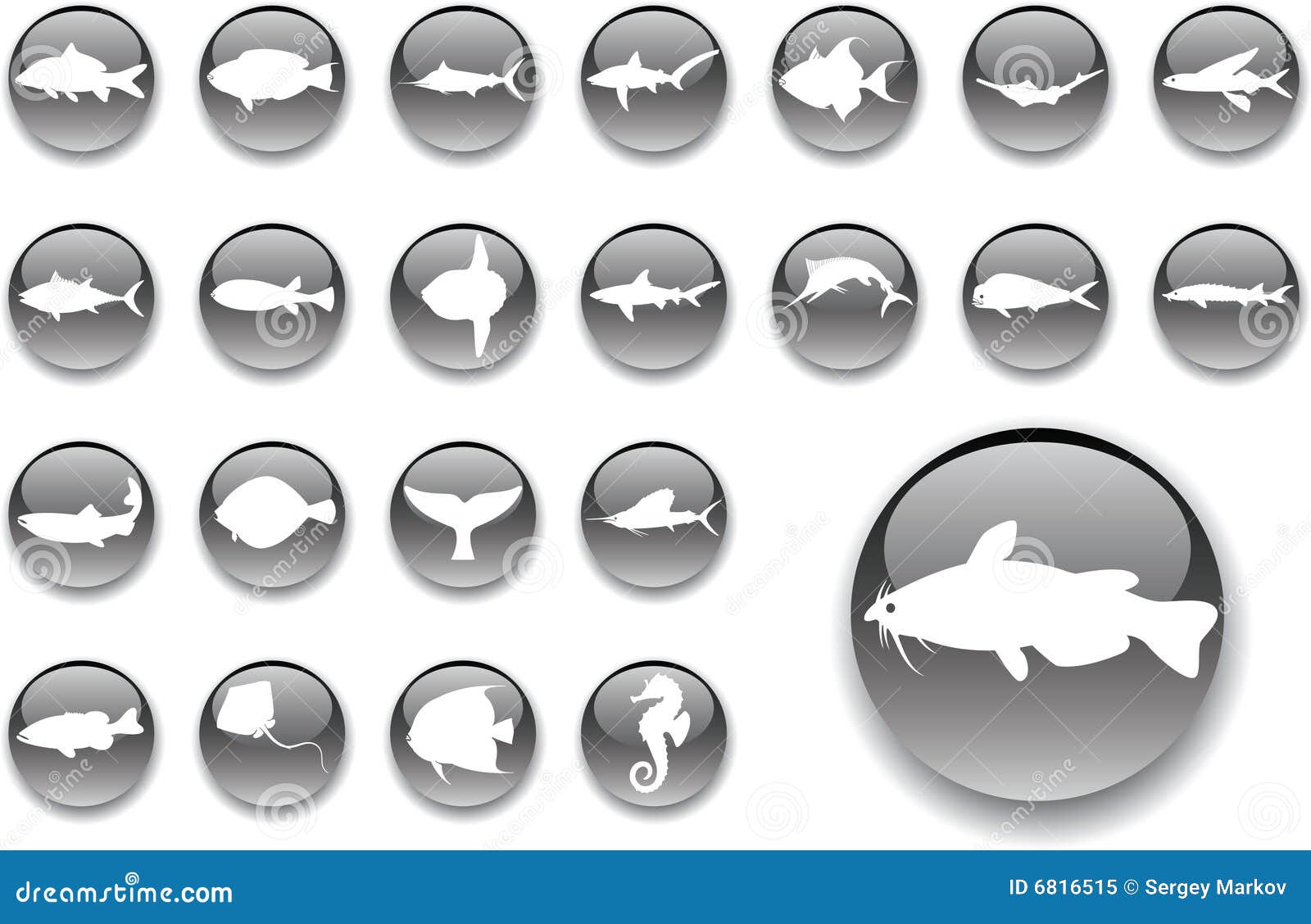 Big Set Buttons - 4_A. Fish Stock Vector - Illustration of saltwater ...