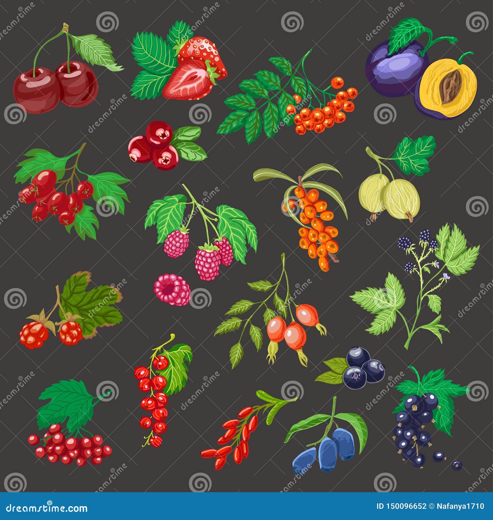 Big Set of Colored Berries. Stock Vector - Illustration of object ...