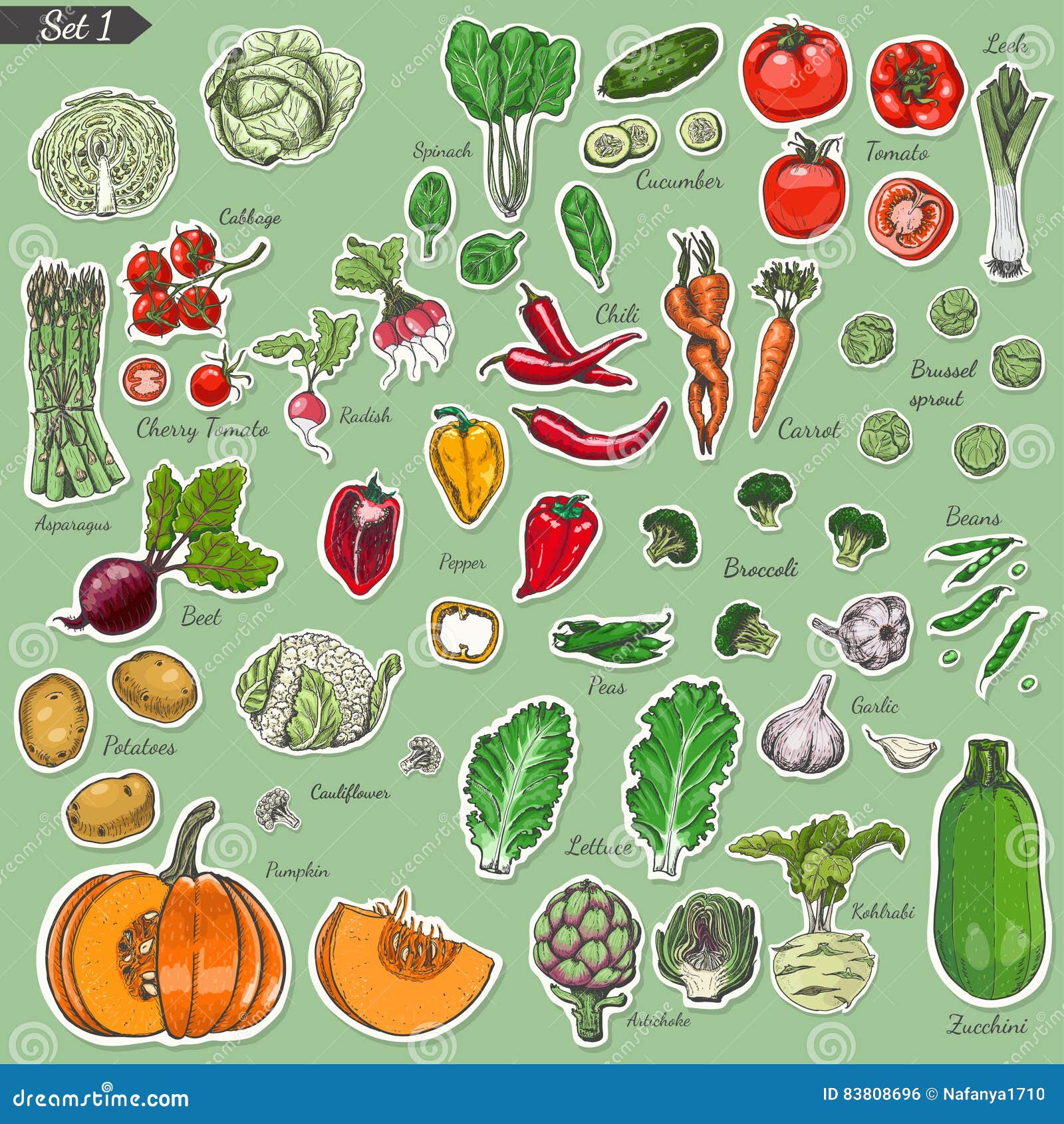 Big Set of Colored Label Vegetables Stock Vector - Illustration of ...