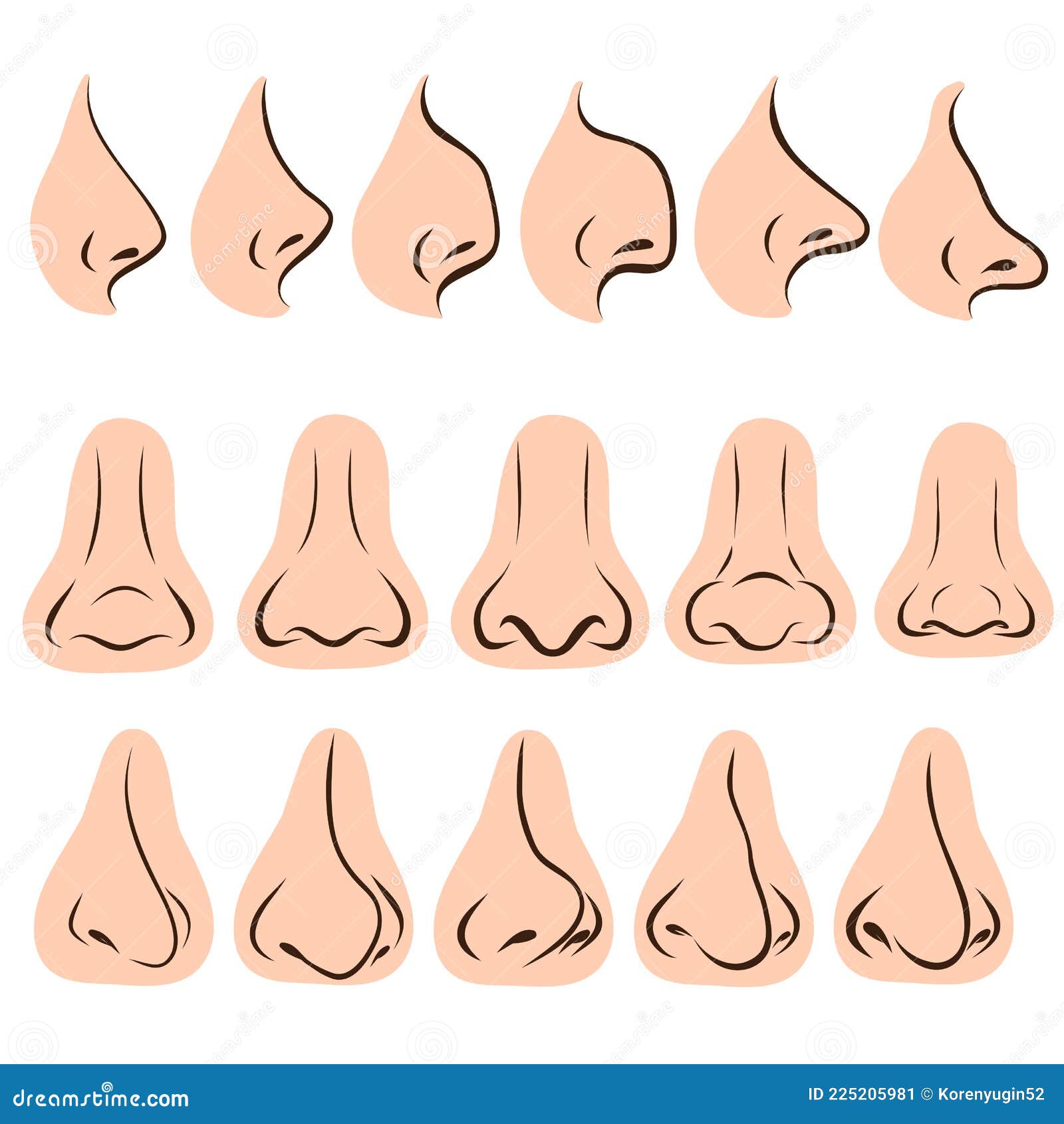 Different Nose Types