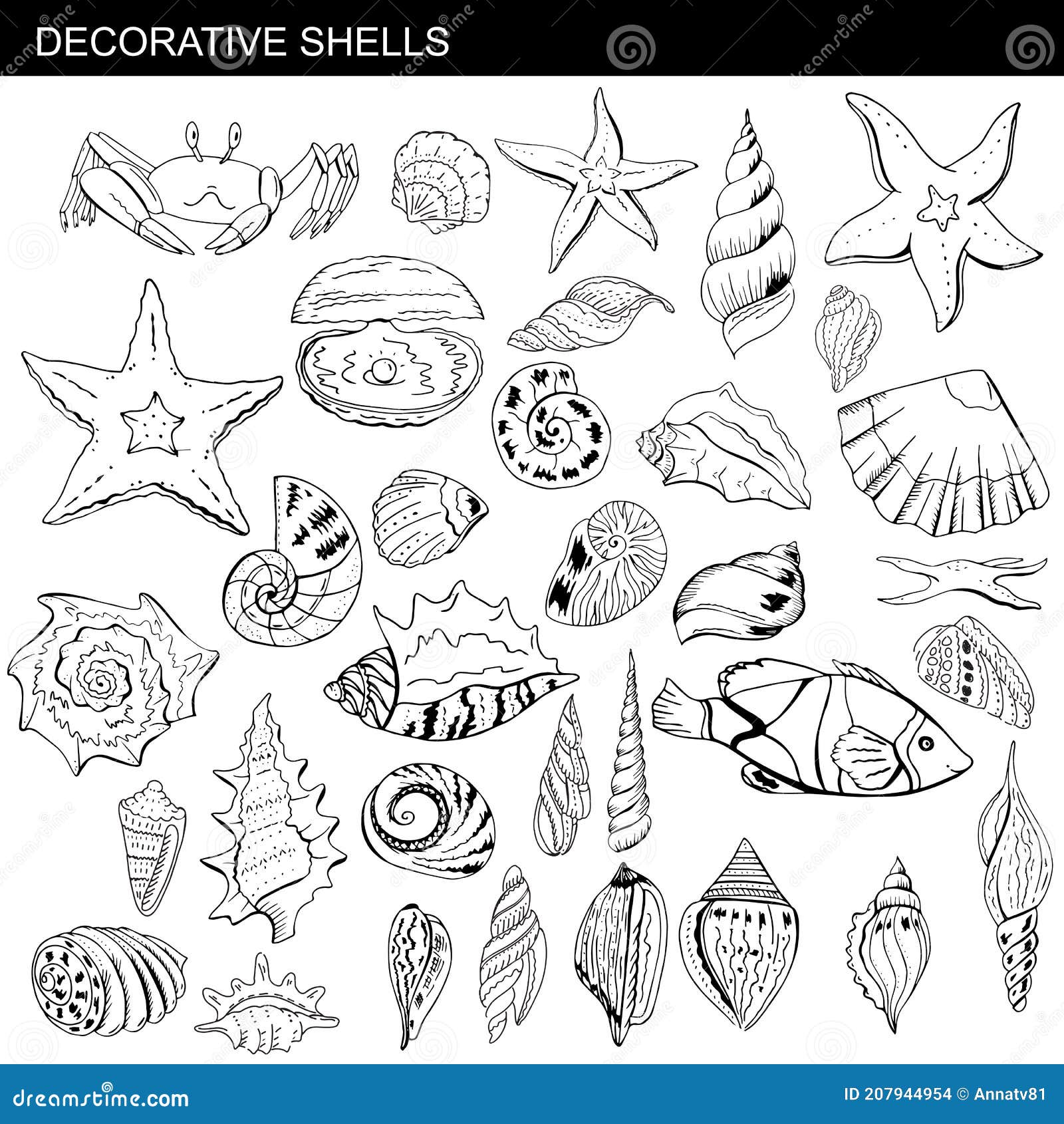 Big Set with Different Sea Shells. Black and White Hand Drawn Objects ...
