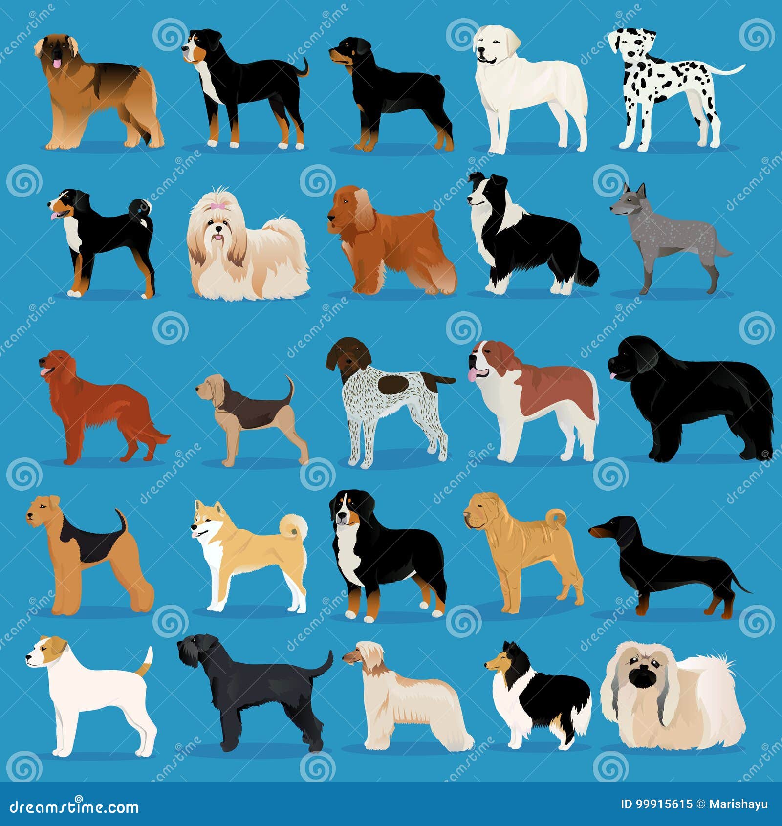 Big set of dogs stock illustration. Illustration of labrador - 99915615