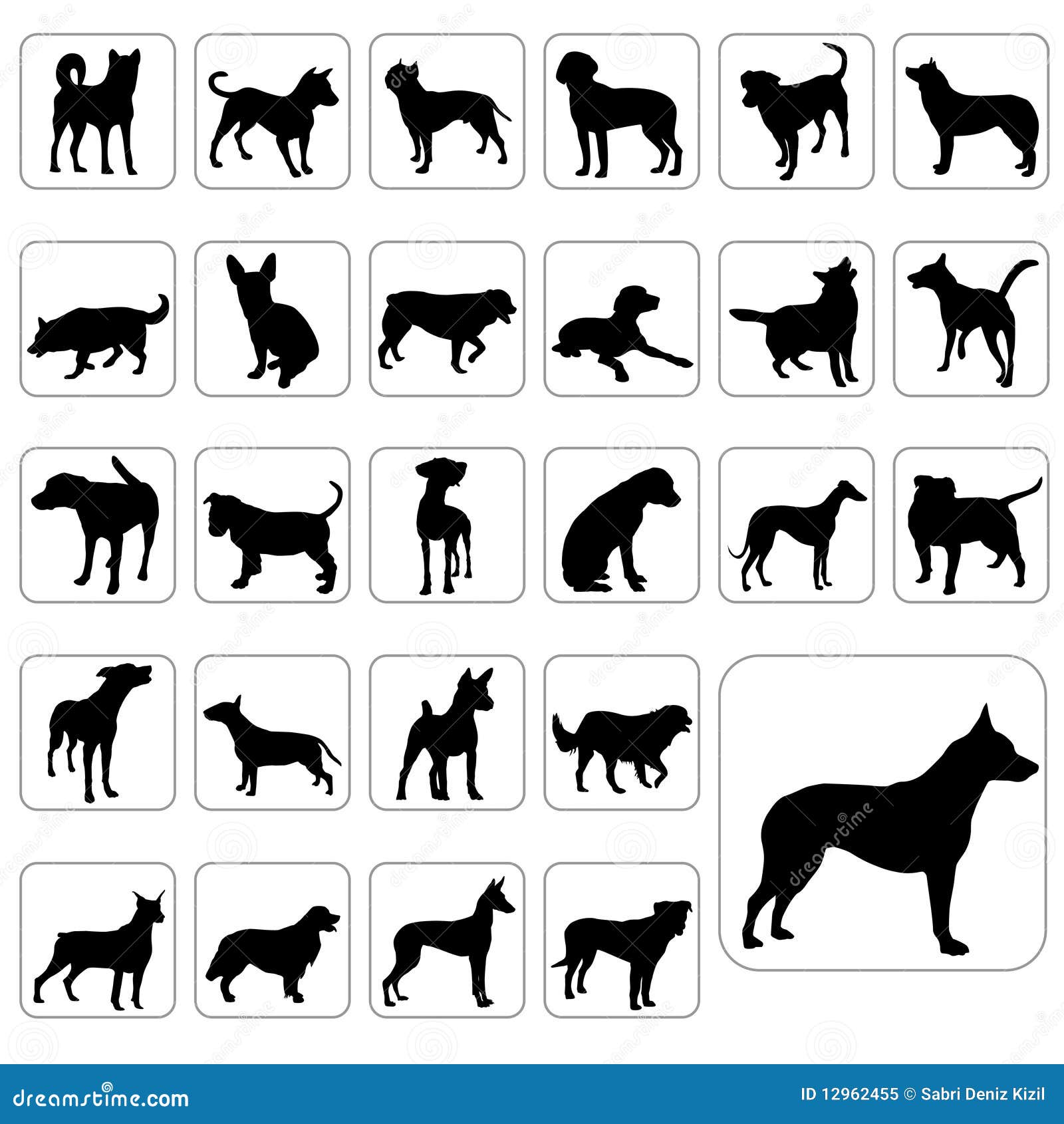 Big set of dogs vector stock vector. Illustration of spaniel - 12962455