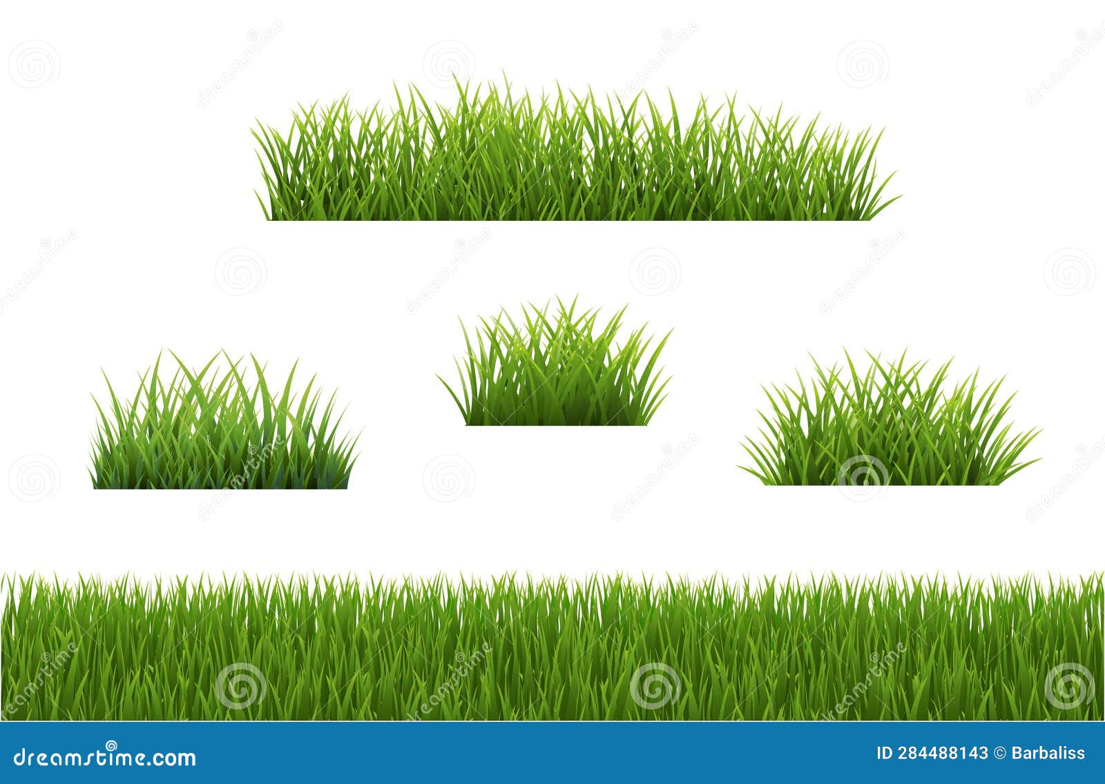 Big Set Grass Panorama with White Background Stock Vector ...