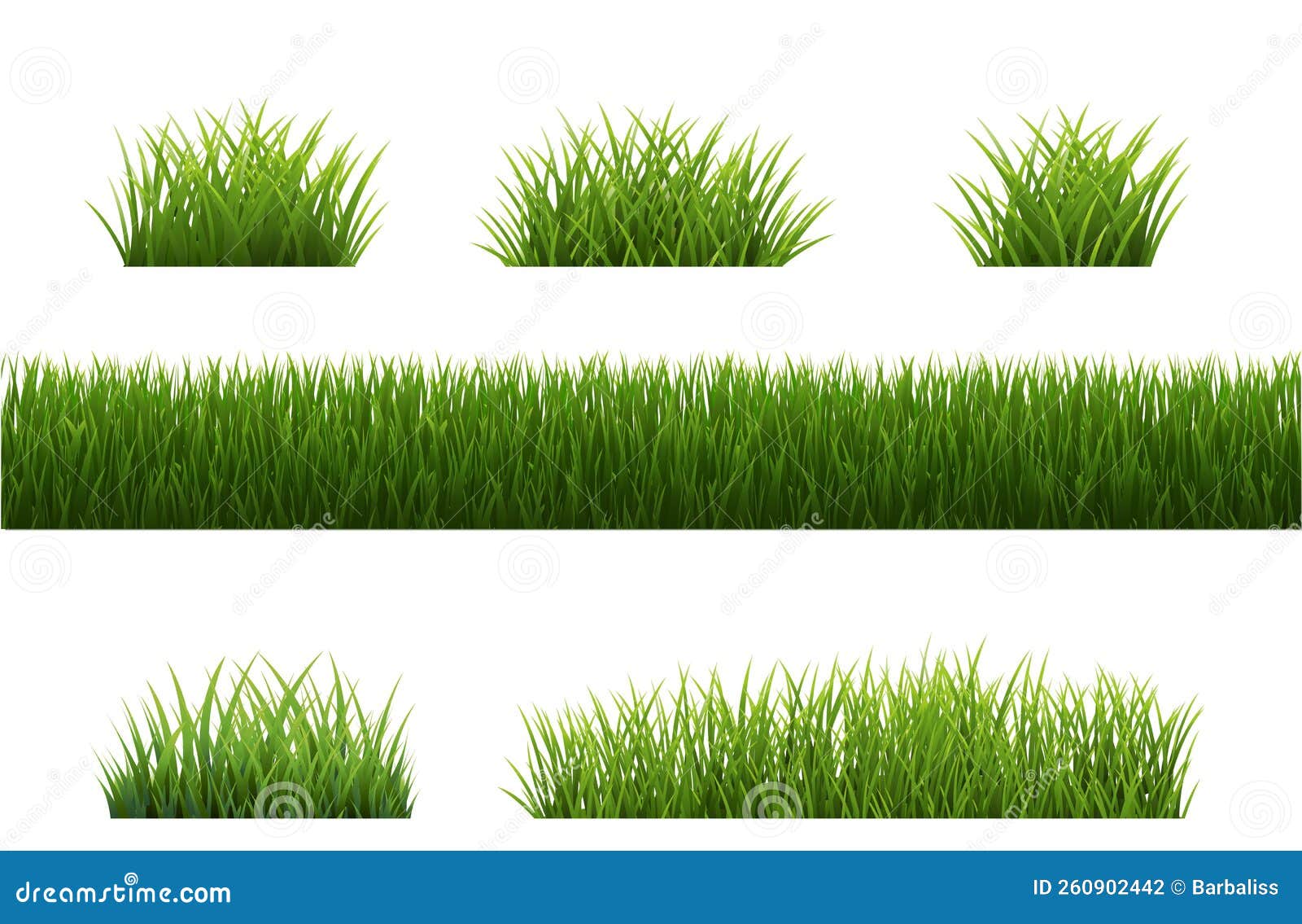 Big Set Grass Panorama White Background Stock Vector - Illustration of ...